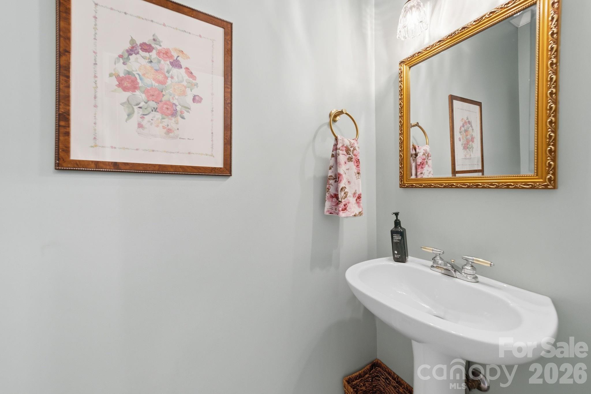 Photo 23 of 10203 Rougemont Lane, Charlotte, NC