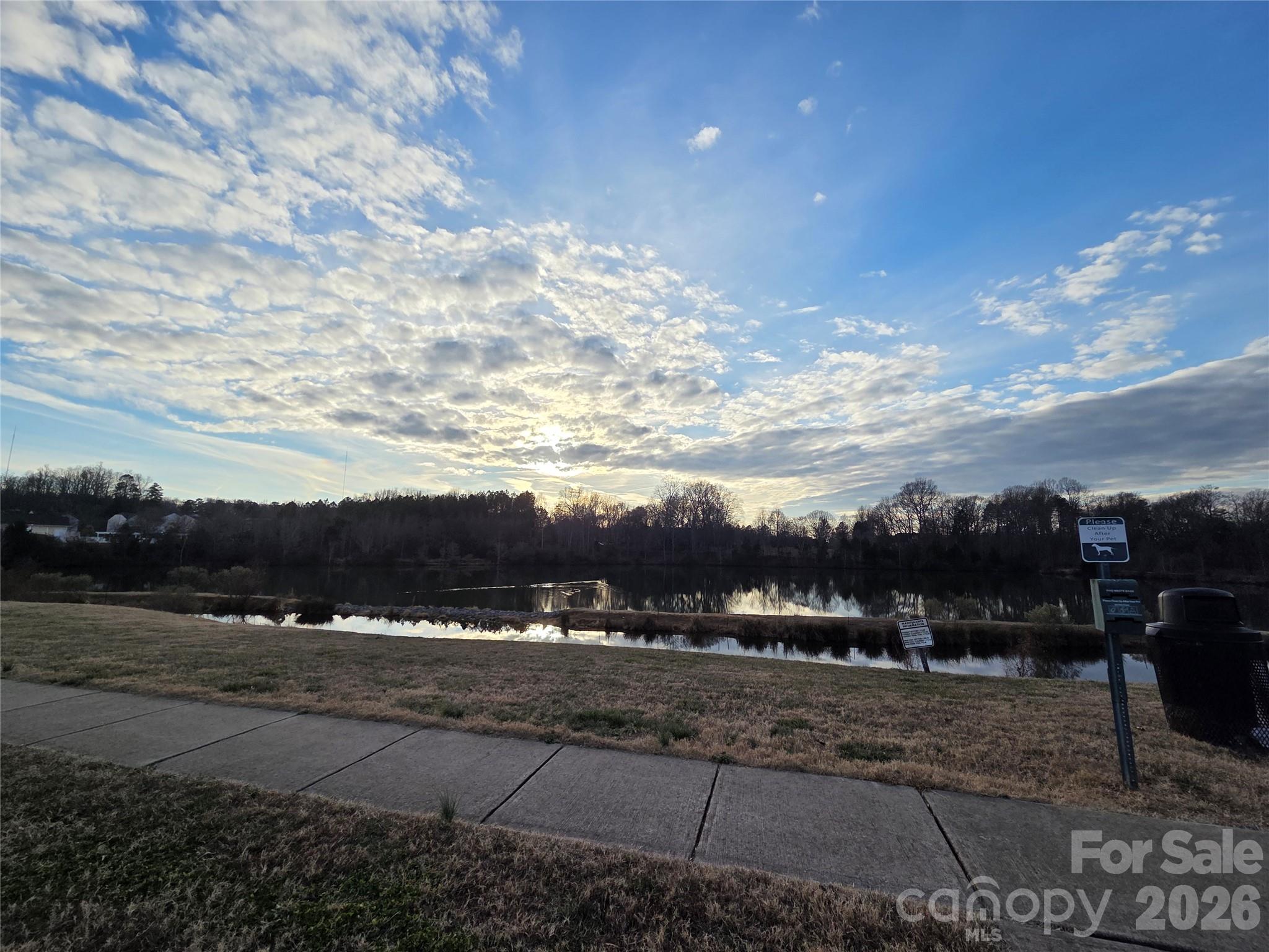 Photo 48 of 10229 Snowbell Court, Charlotte, NC
