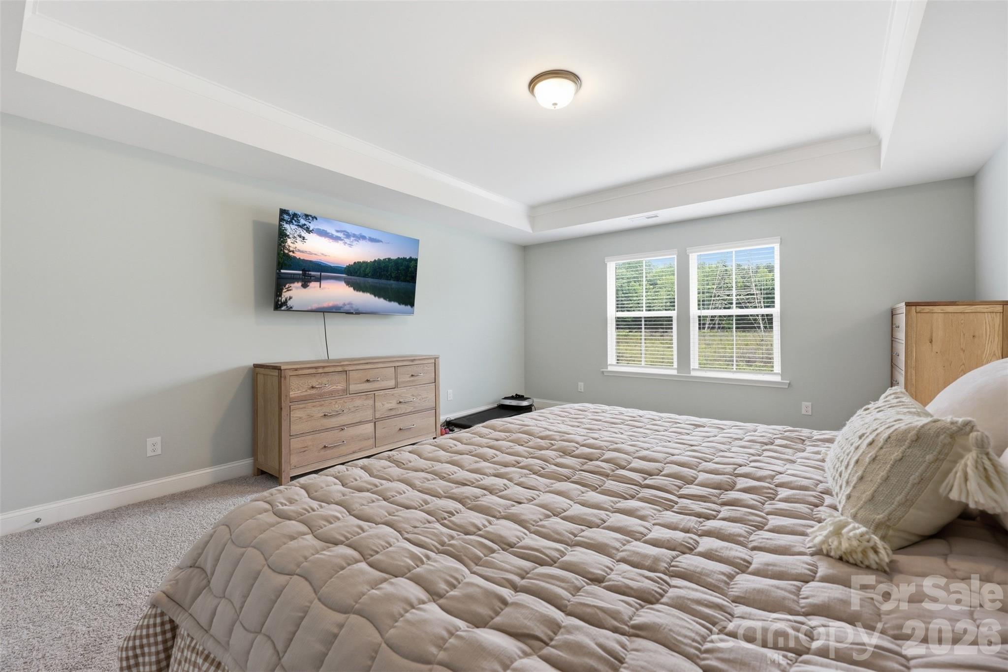 Home for sale at 287 Supernova Drive, York, SC — photo 29 of 48