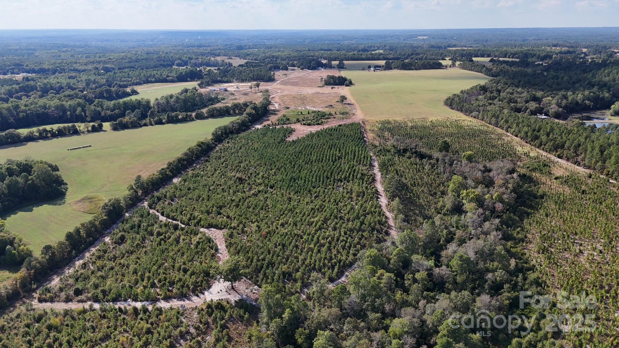 891 Long Branch Church Road, Jefferson, SC - photo 9 of 23