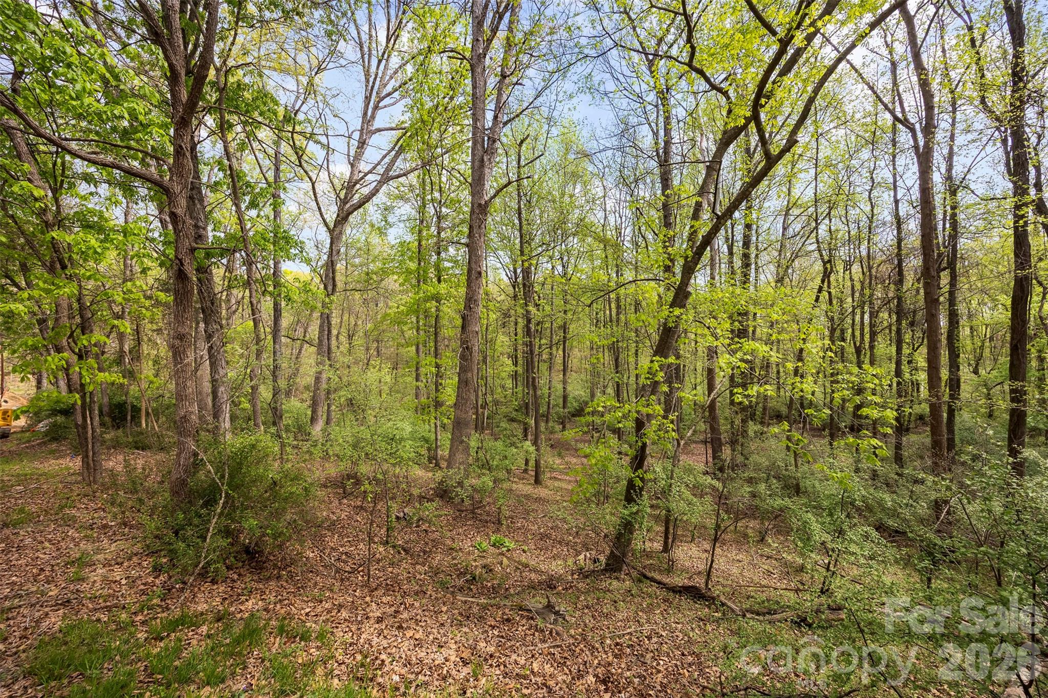 10601 Wildlife Road, Charlotte, NC - photo 7 of 30