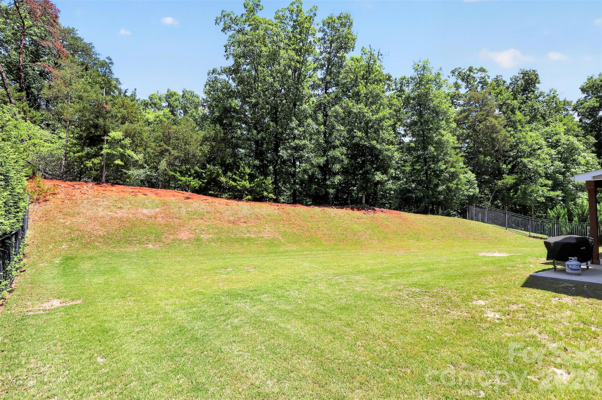 719 Fresia Drive, Tega Cay, SC - photo 43 of 49