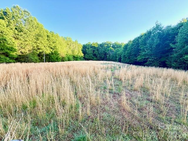 494 Vera Drive, Rockwell, NC - photo 3 of 40