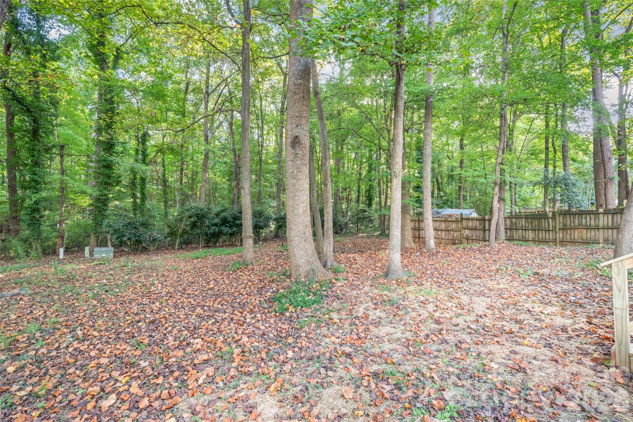 8412 Strider Drive, Charlotte, NC - photo 36 of 38
