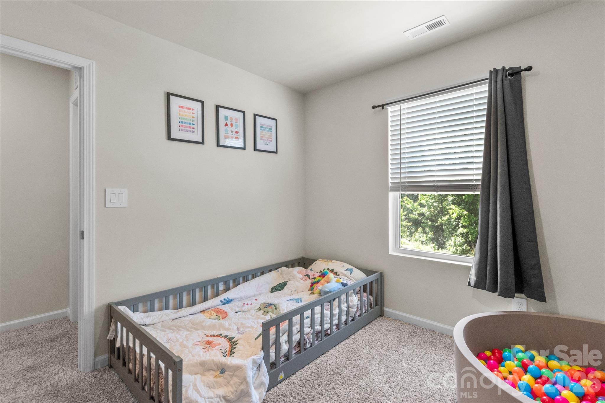 380 Olympia Way, York, SC - photo 23 of 30