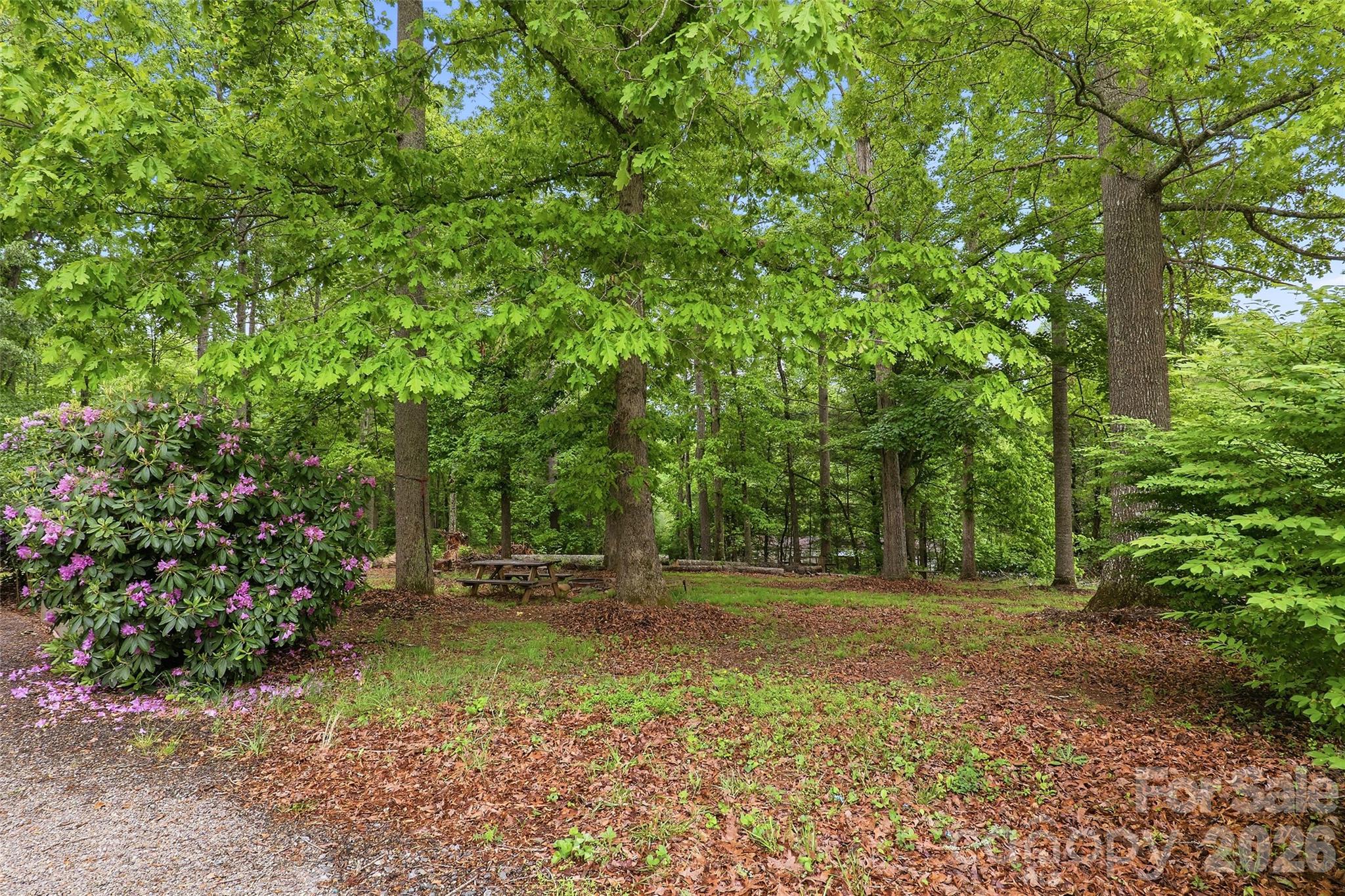 611 Turkey Creek Terrace, Leicester, NC - photo 13 of 43