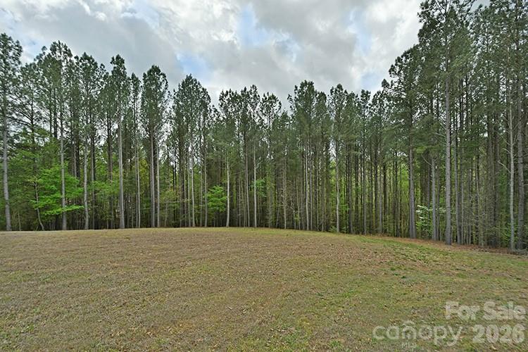 3020 Archer Way Drive, Iron Station, NC - photo 27 of 29