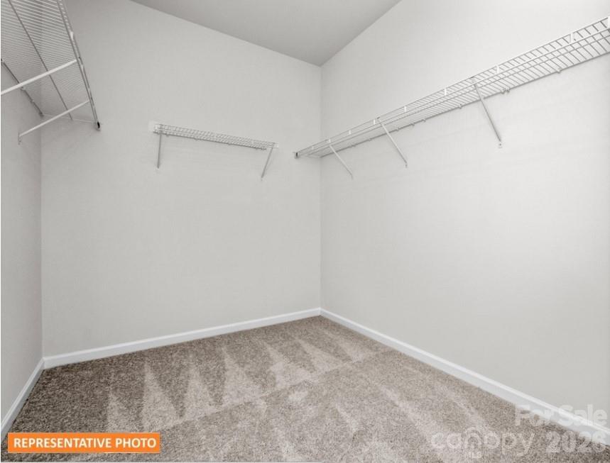4239 Ruth Creek Court, Charlotte, NC - photo 19 of 25