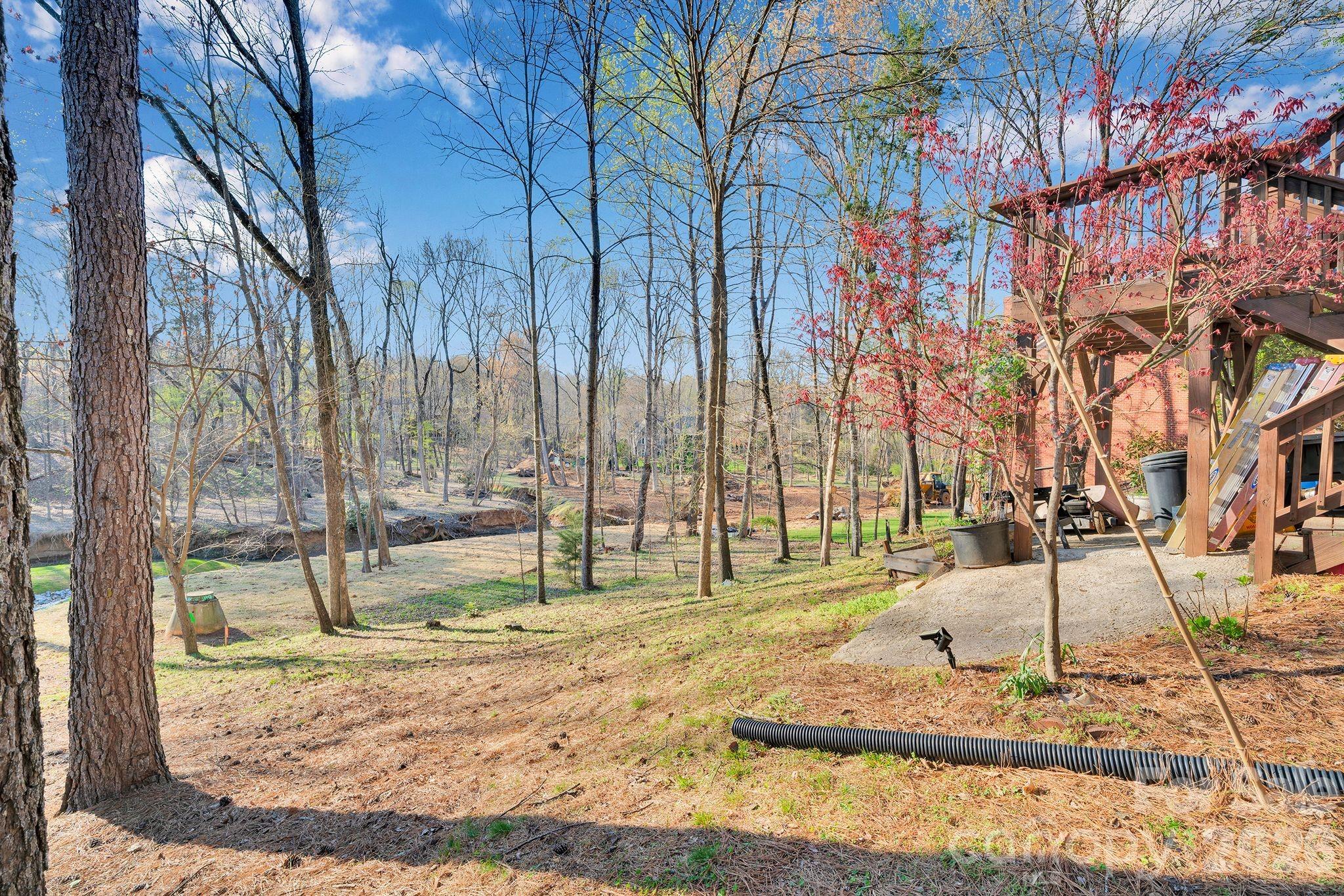 4754 Andrews Links Street, Charlotte, NC - photo 44 of 47