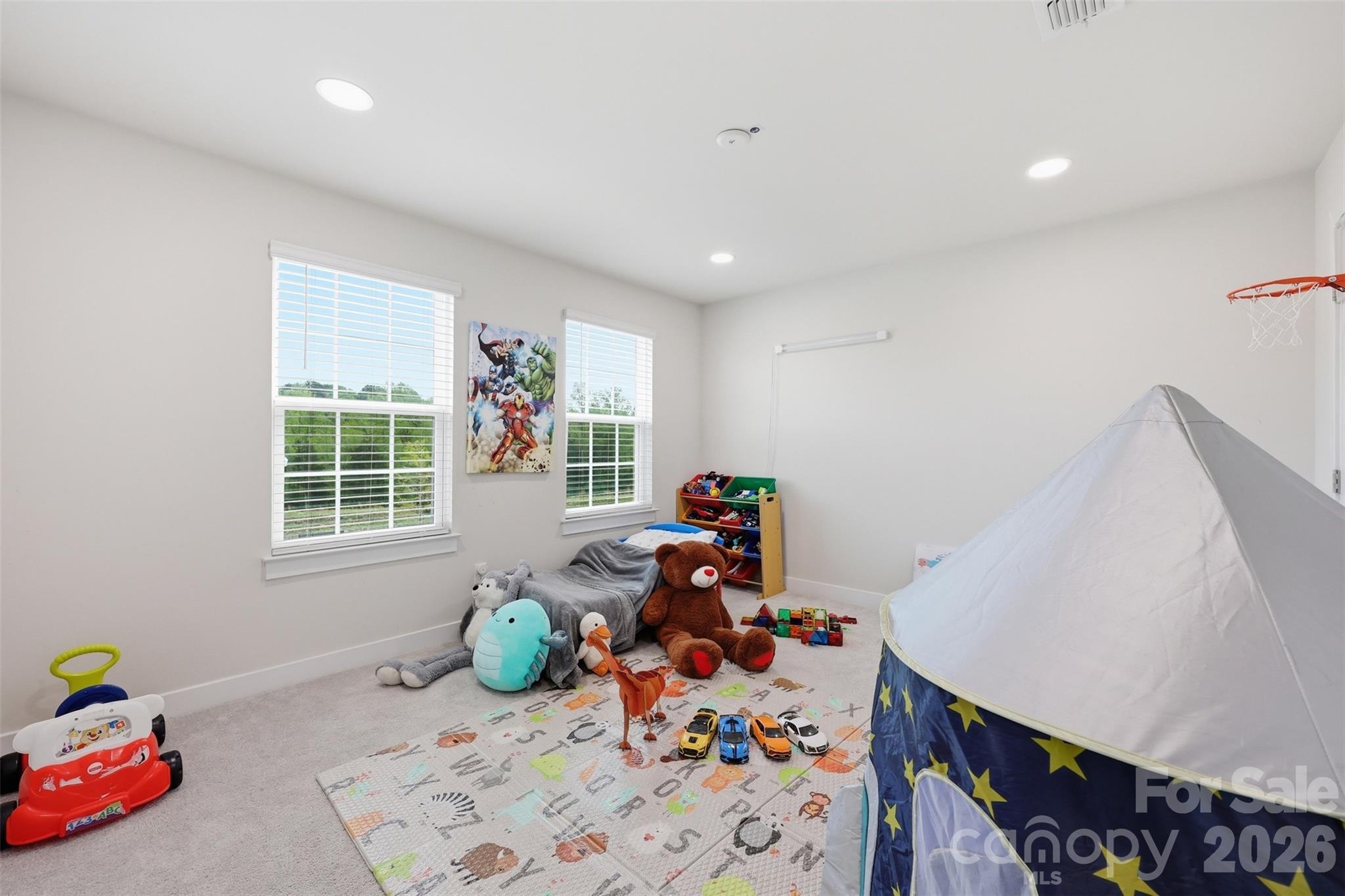 Photo 28 of 10258 Paper Birch Drive, Charlotte, NC