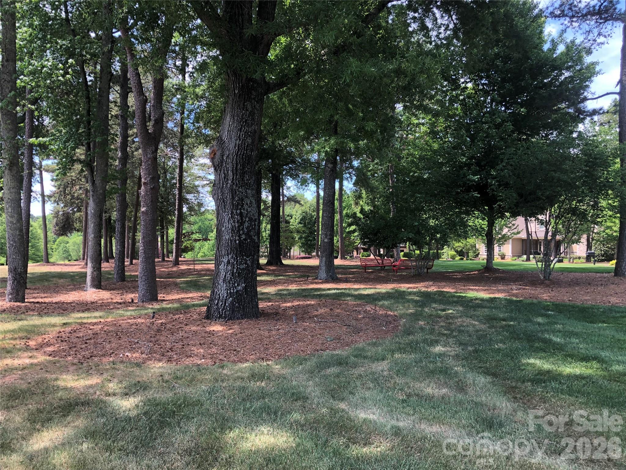 5830 Long Stirrup Lane, Mint Hill, NC - photo 4 of 46