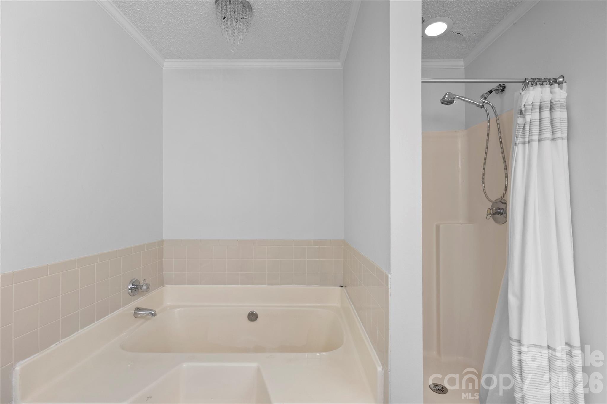 Photo 13 of 8704 Hornwood Court, Charlotte, NC