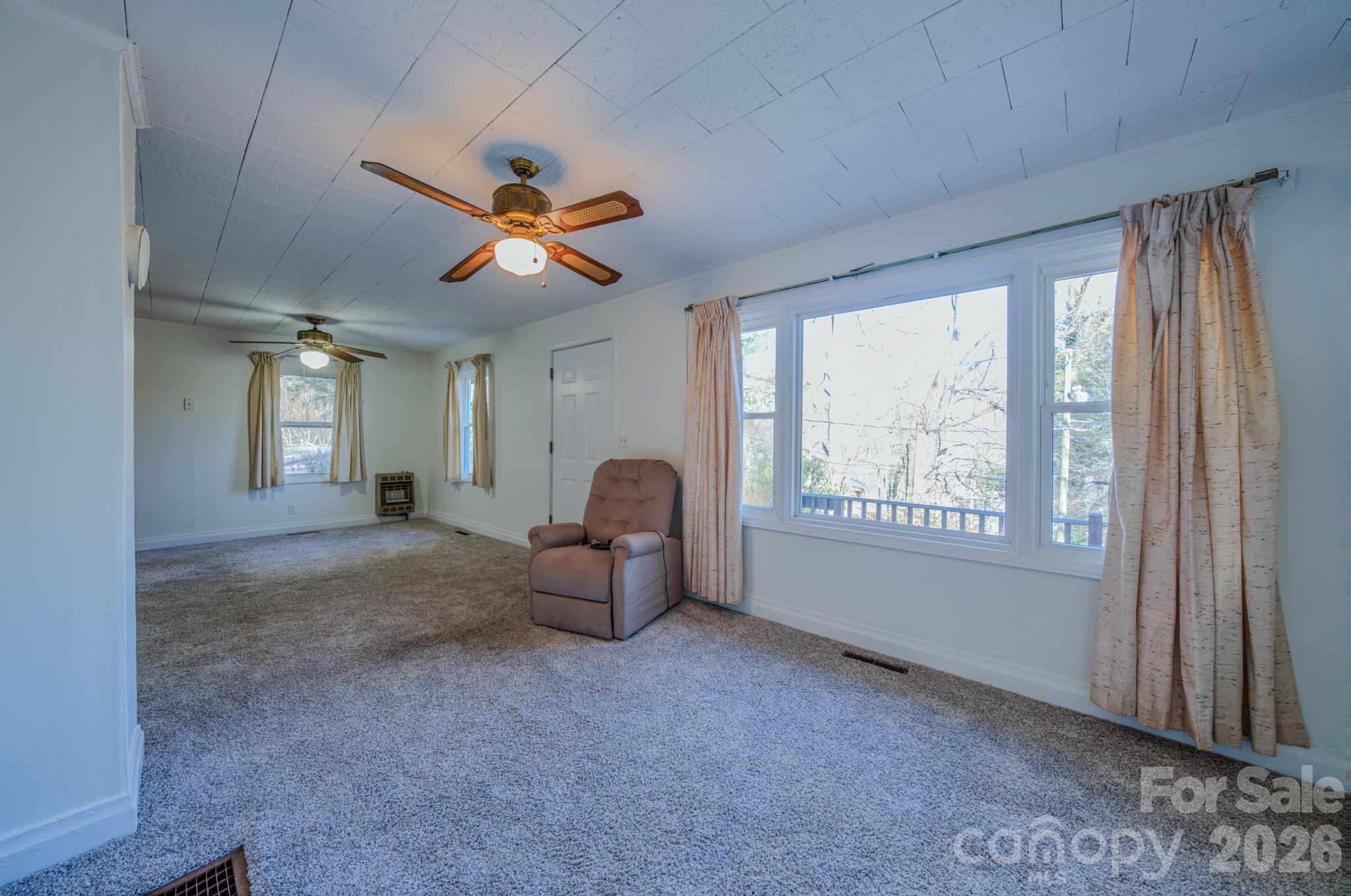 550 Saluda Street, Hendersonville, NC - photo 6 of 30