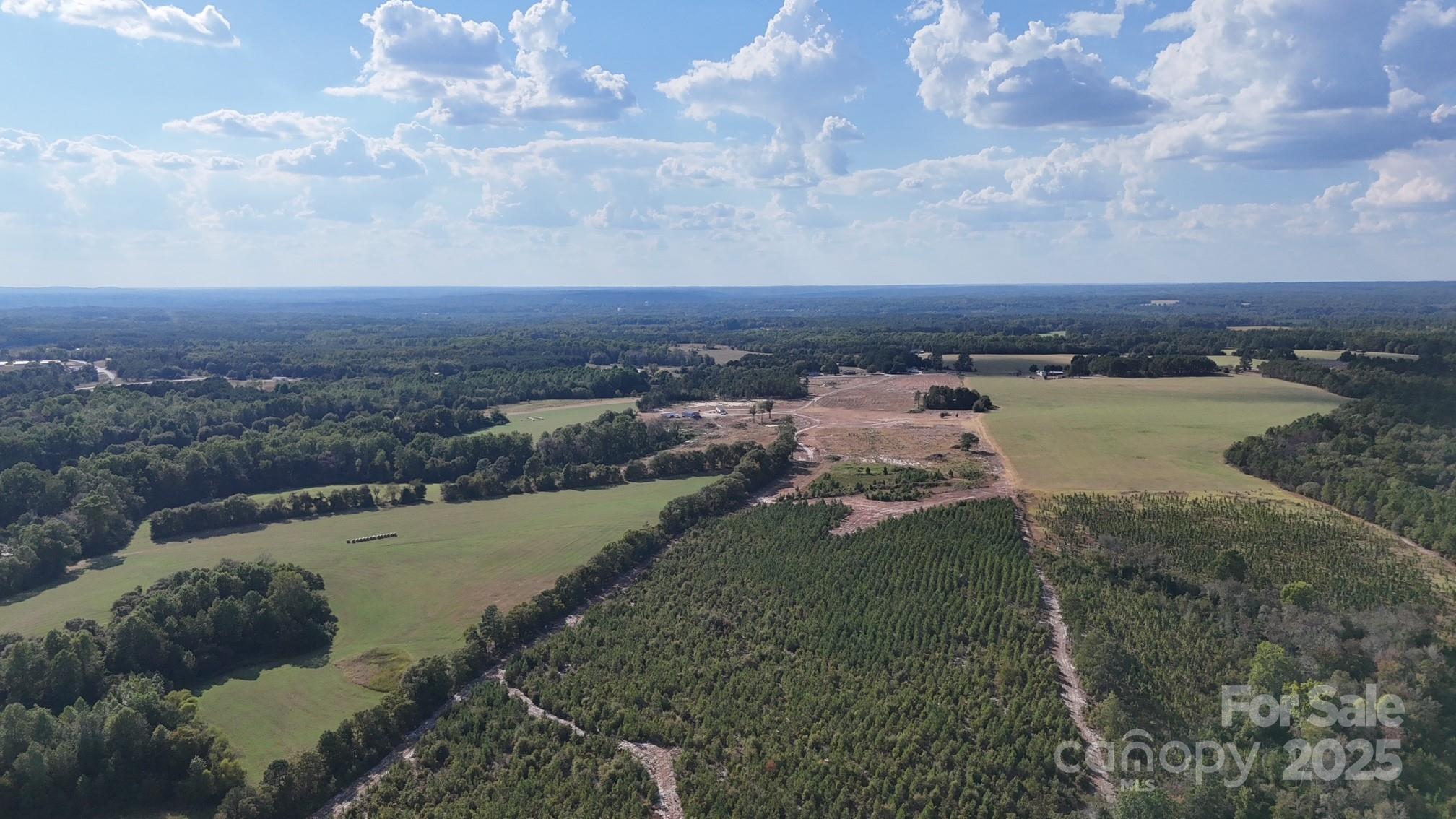 891 Long Branch Church Road, Jefferson, SC - photo 11 of 23