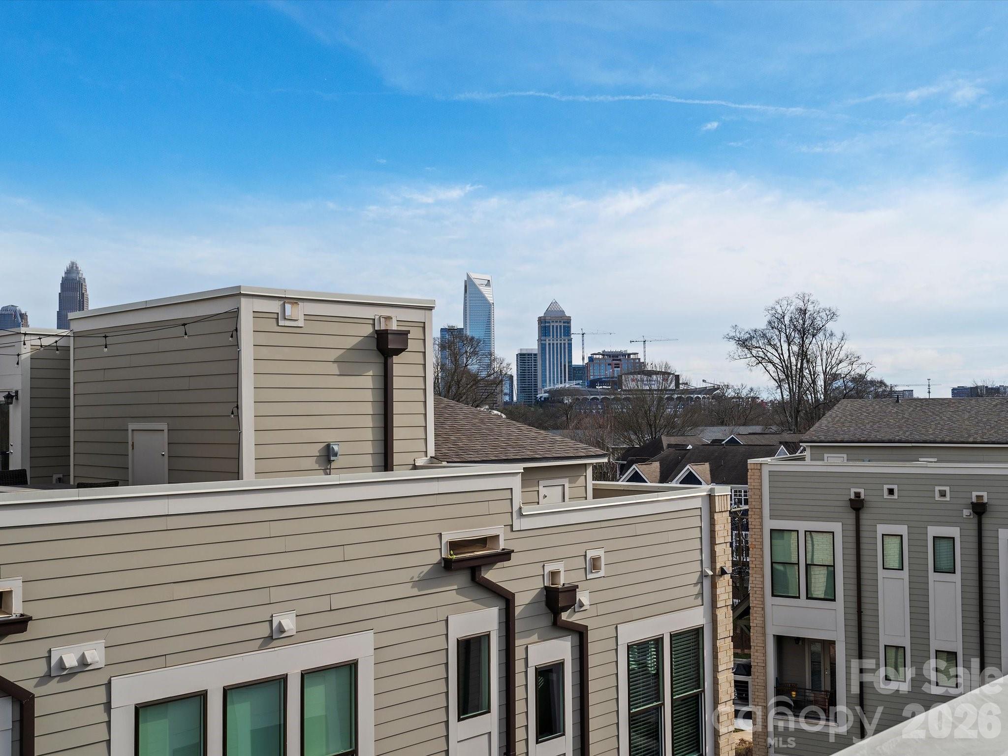 1621 Cannon View Lane, Charlotte, NC - photo 4 of 29