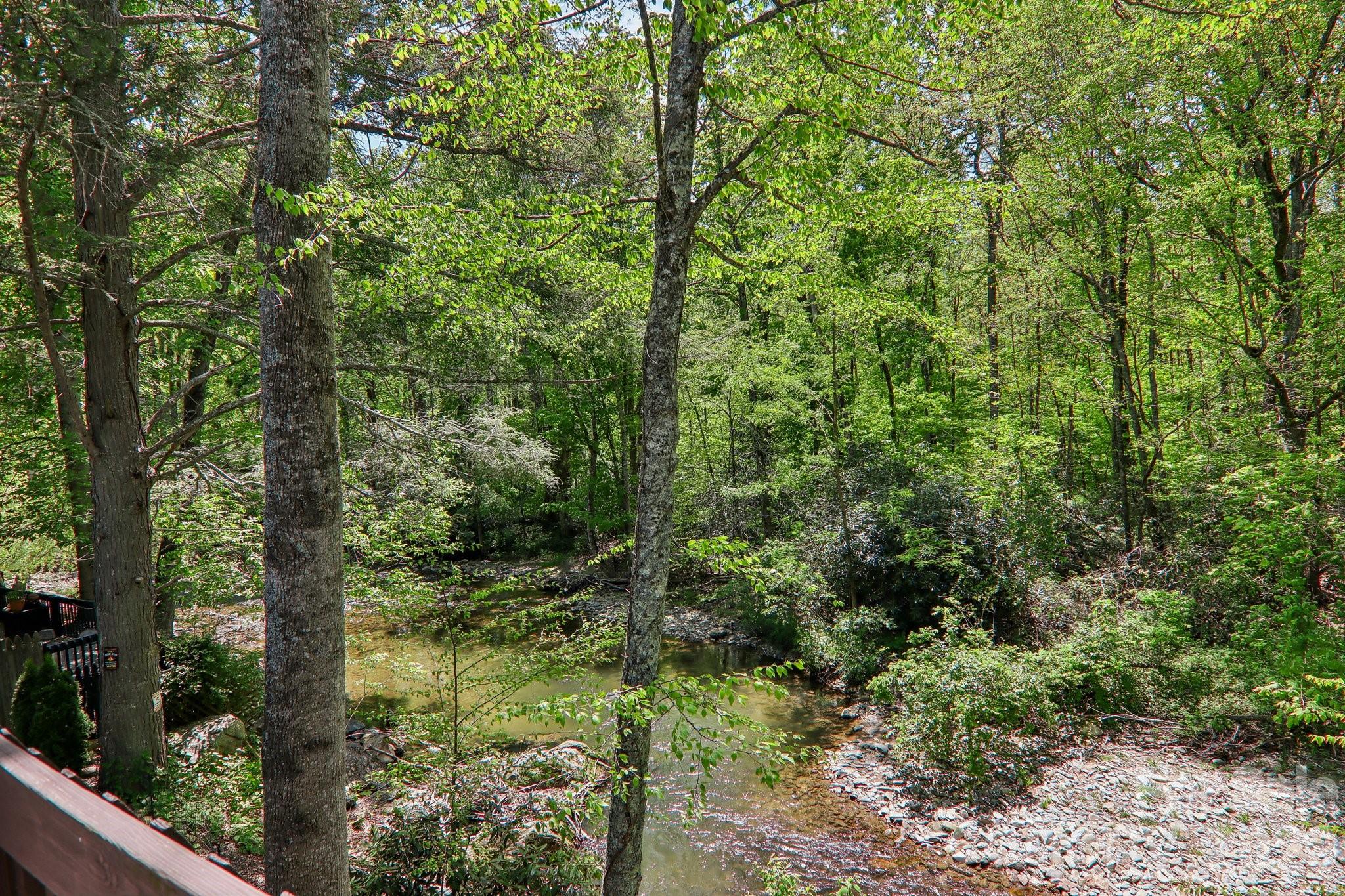 12 Indian Trace Road, Maggie Valley, NC - photo 27 of 46
