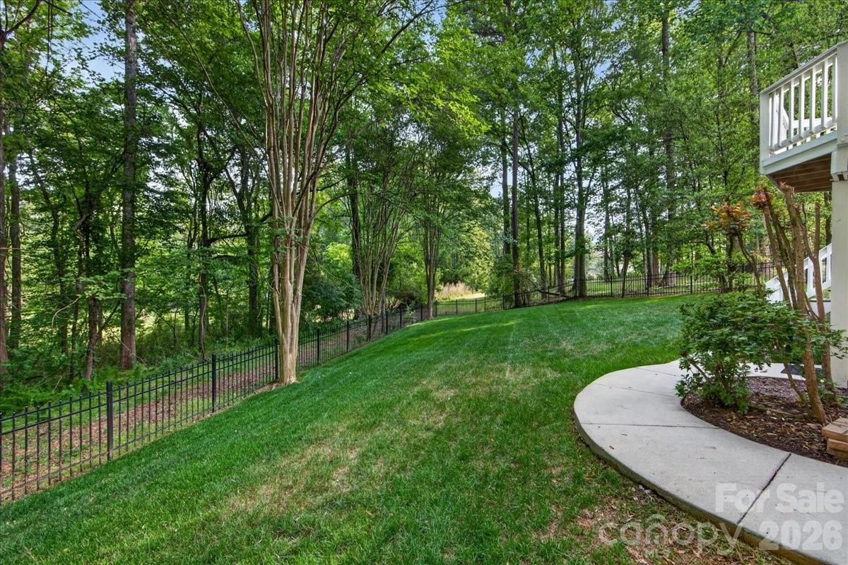 13209 Alex Mill Drive, Pineville, NC - photo 40 of 48