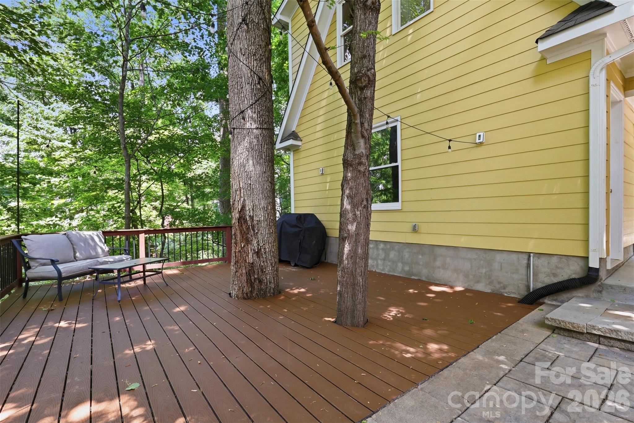 739 Julia Street, Fort Mill, SC - photo 37 of 49