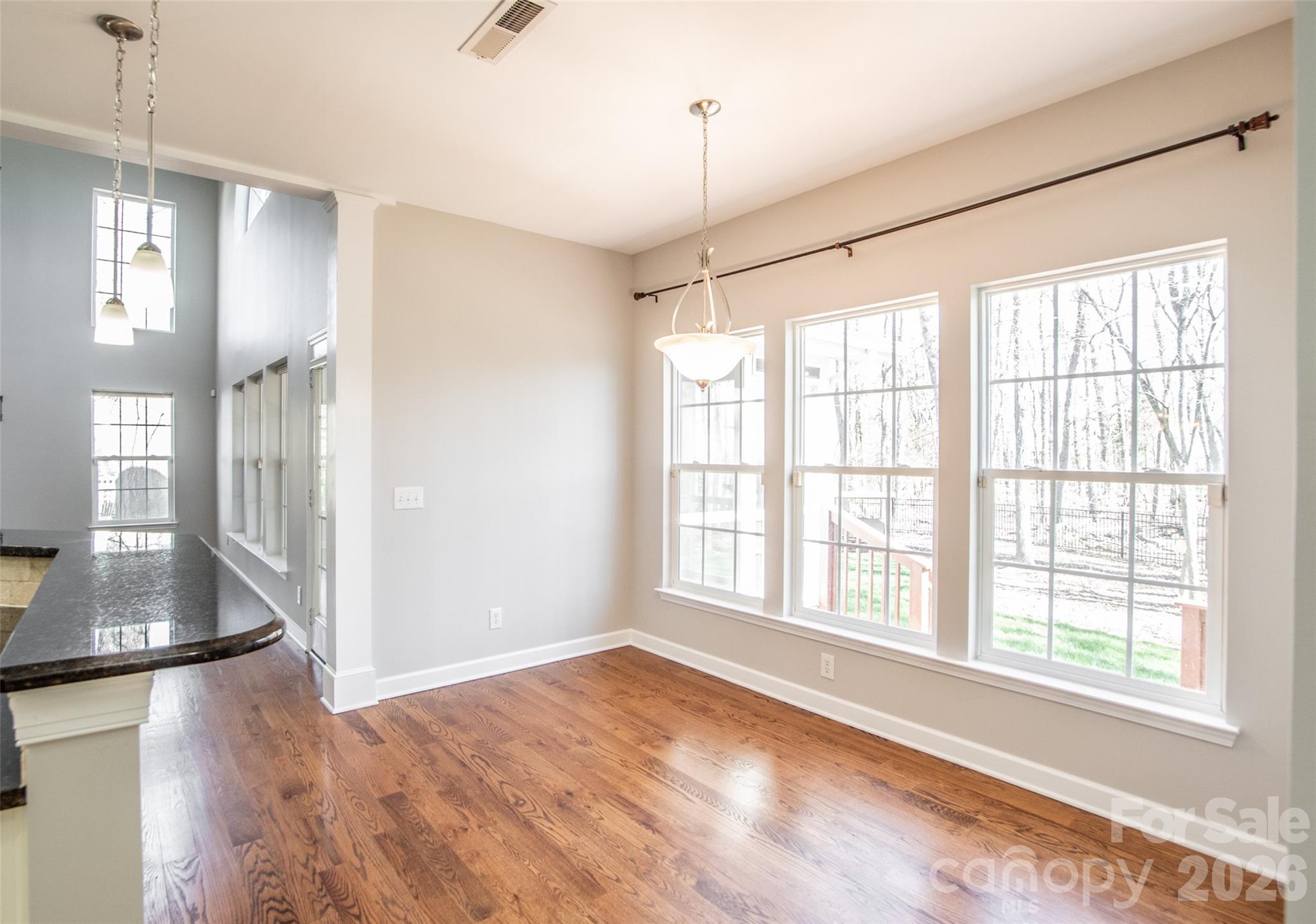 203 Elven Court, Waxhaw, NC - photo 13 of 43