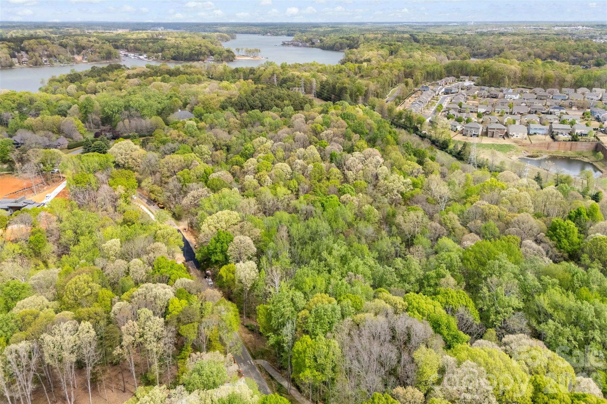 10601 Wildlife Road, Charlotte, NC - photo 16 of 30