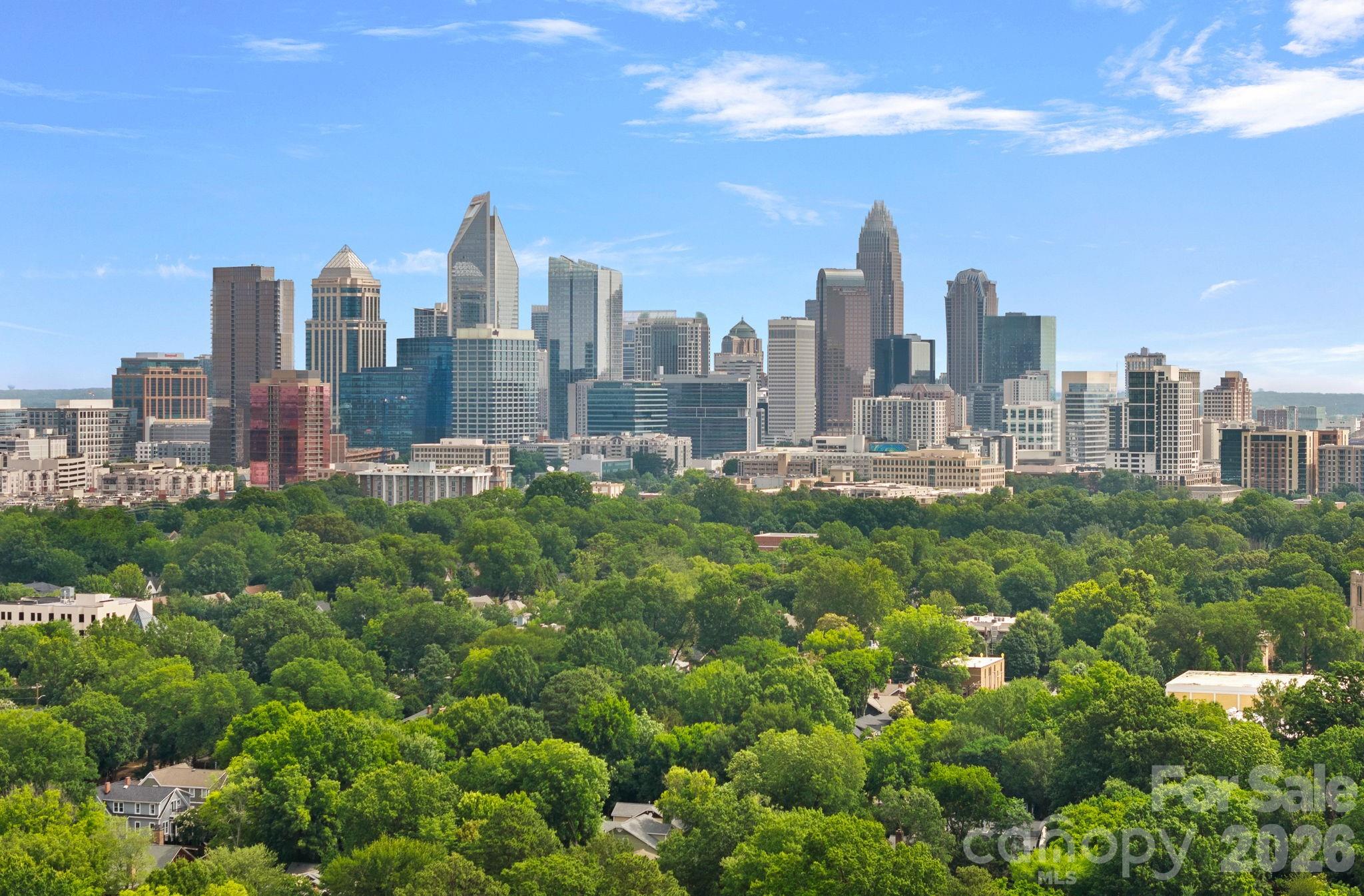 Photo 47 of 522 Magnolia Avenue, Charlotte, NC