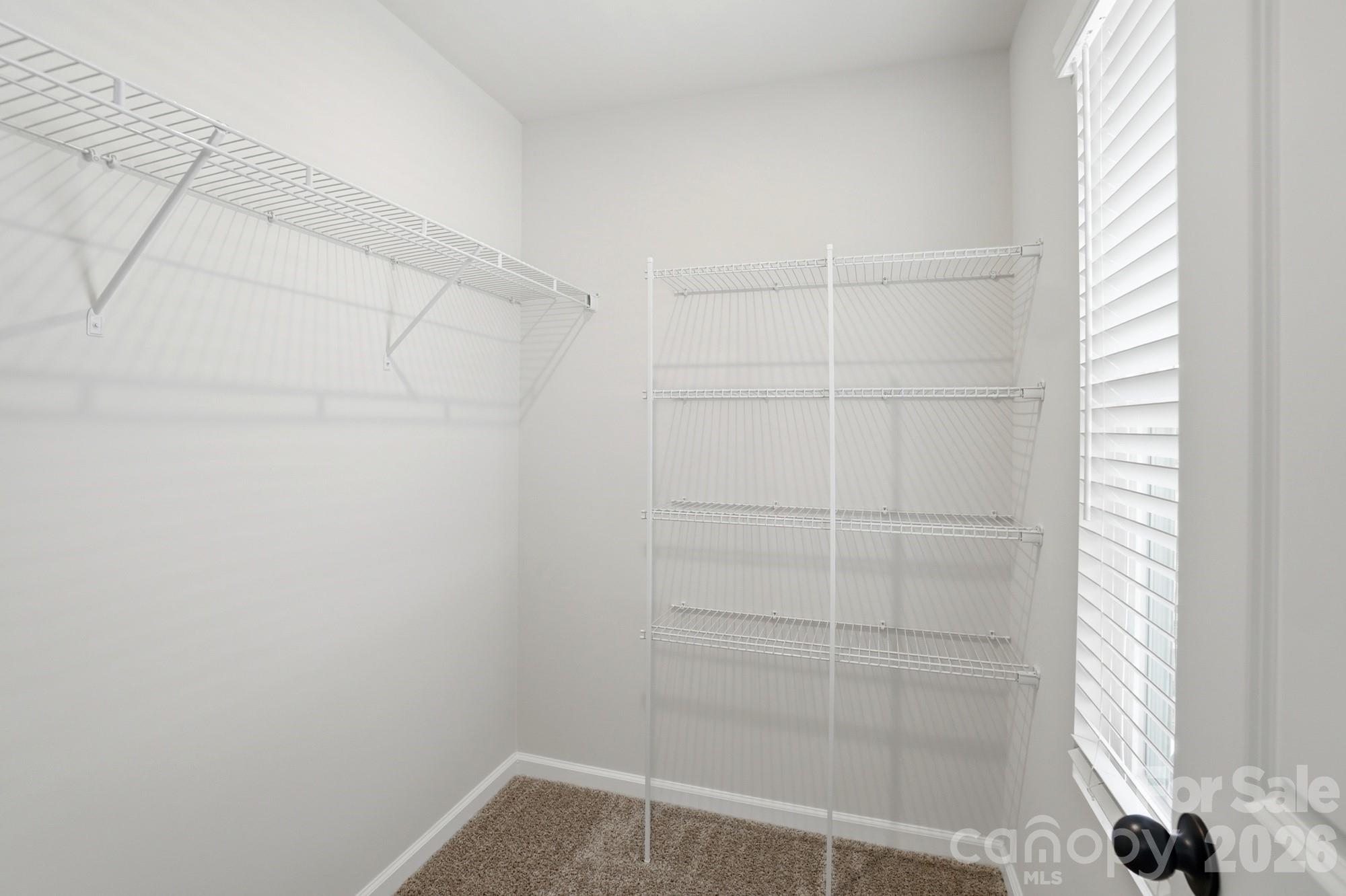 Photo 36 of 7025 Cerris Drive, Charlotte, NC