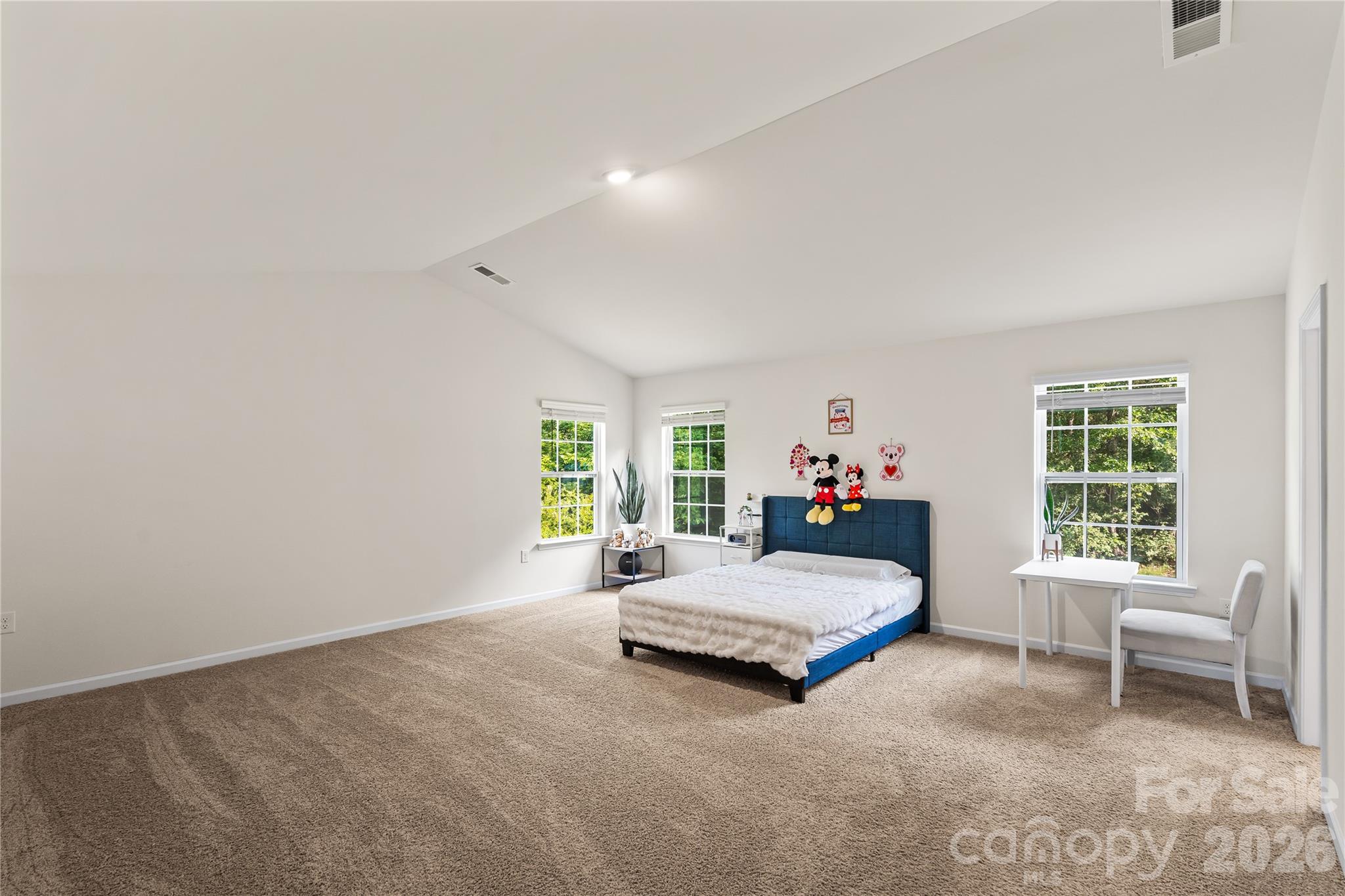 Photo 25 of 7128 Bandera Drive, Charlotte, NC