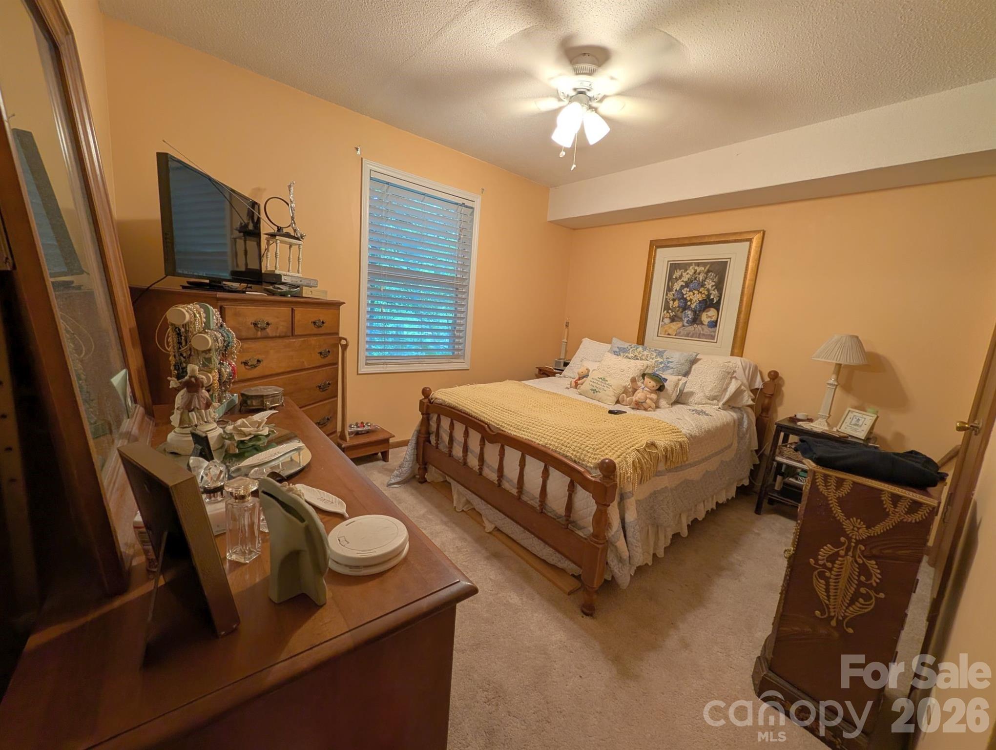 Photo 26 of 215 Swamp Fox Drive, Fort Mill, SC