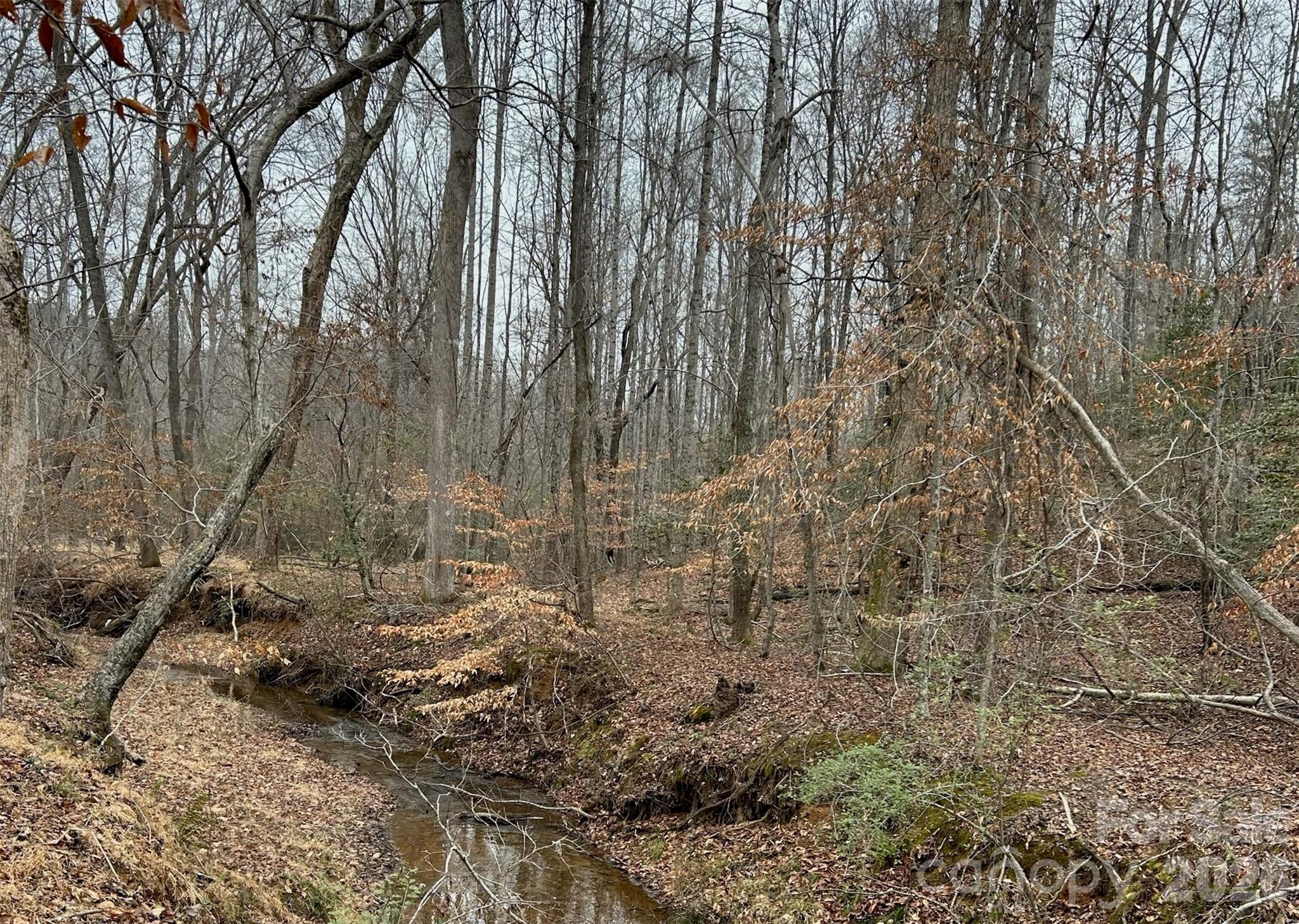 365 Guernsey Lane, Roebuck, SC - photo 13 of 24