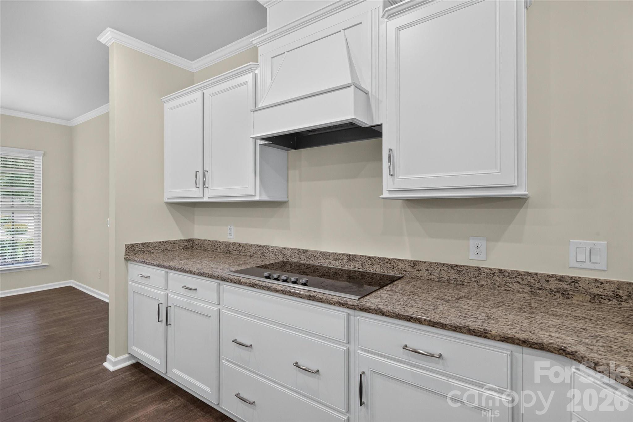 Photo 7 of 322 Burr Court, Fort Mill, SC