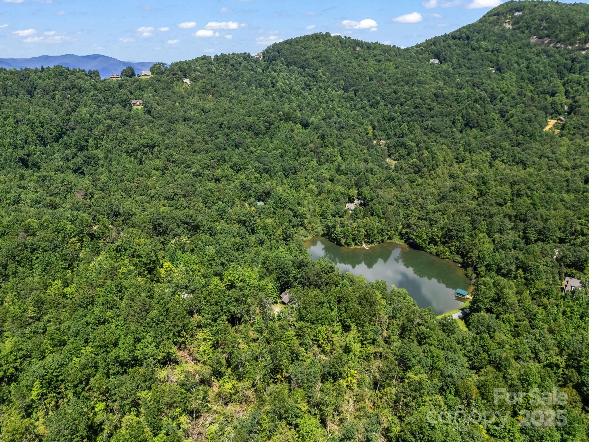 288 Long Ridge Road, Old Fort, NC - photo 33 of 49