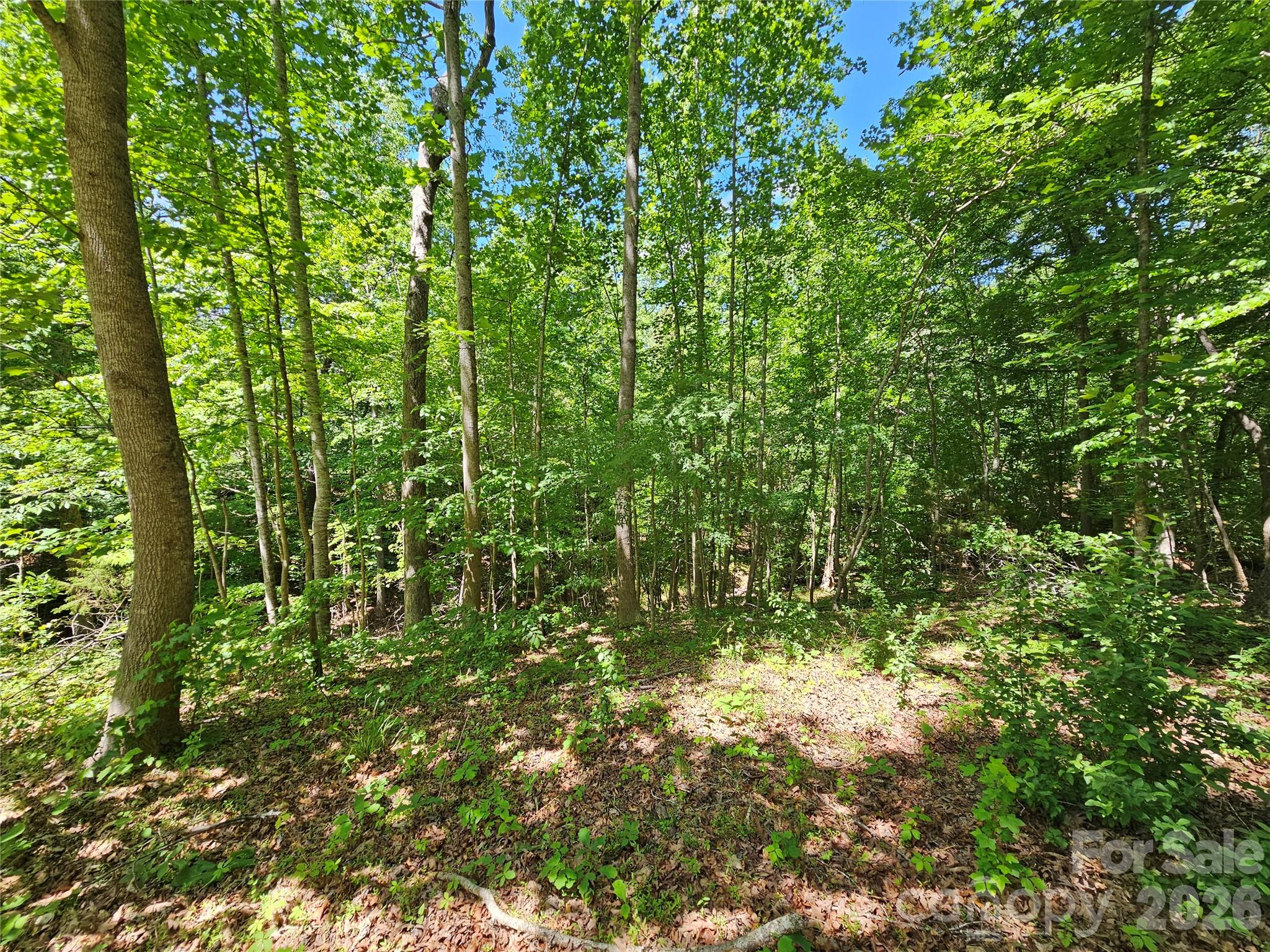5692 Brooklyn Road, Great Falls, SC - photo 40 of 49
