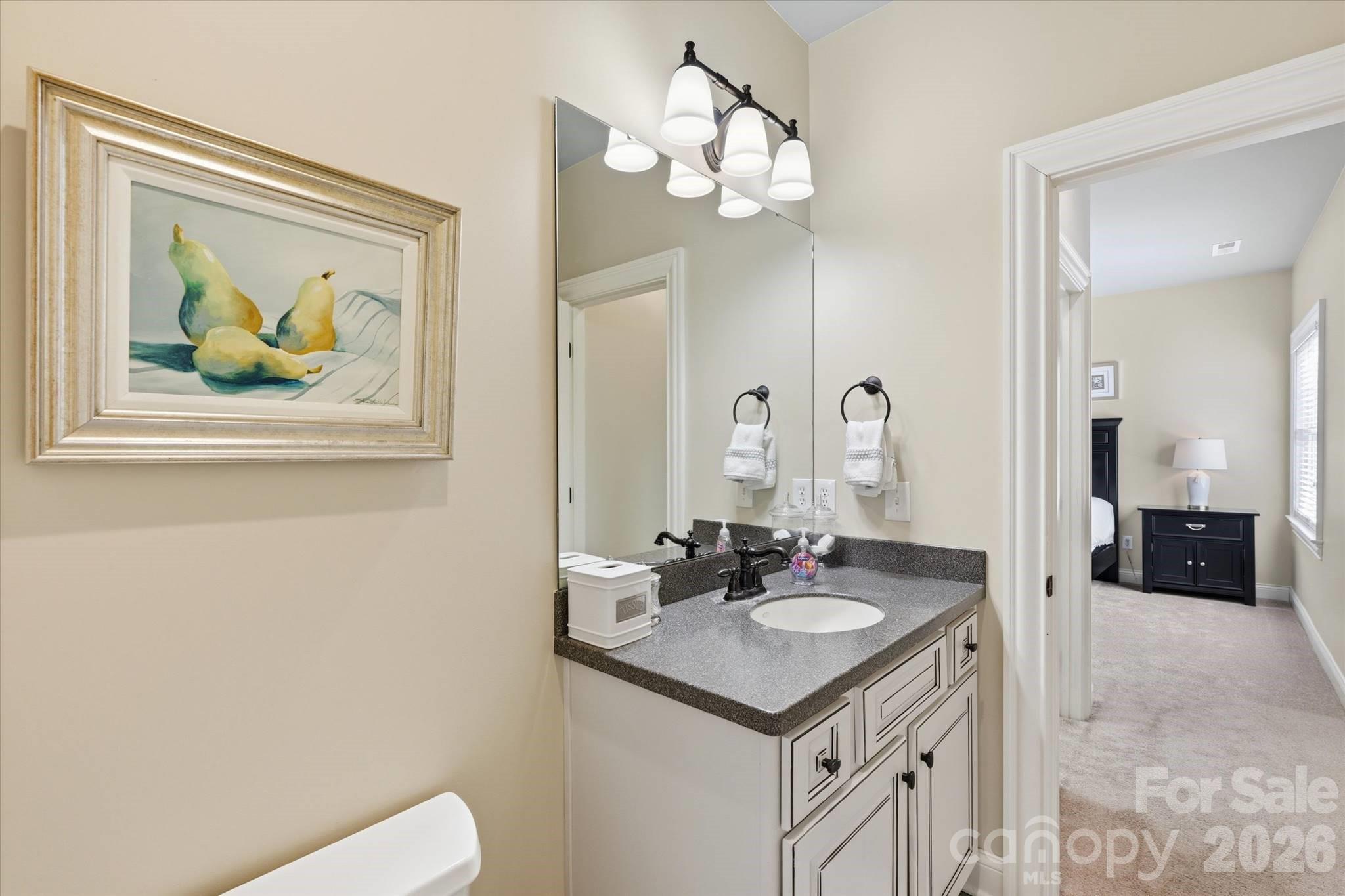 148 E Cold Hollow Farms Drive, Mooresville, NC - photo 30 of 49