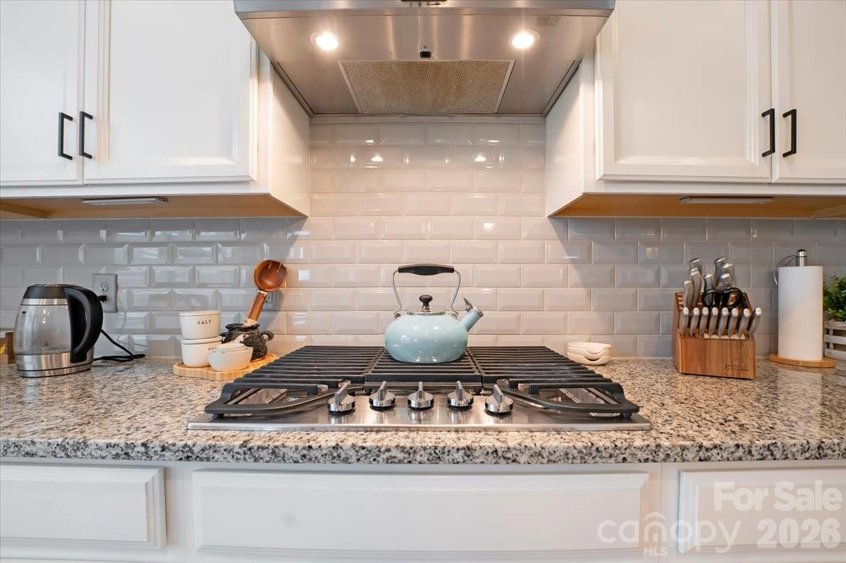 Photo 16 of 17534 Austins Creek Drive, Charlotte, NC