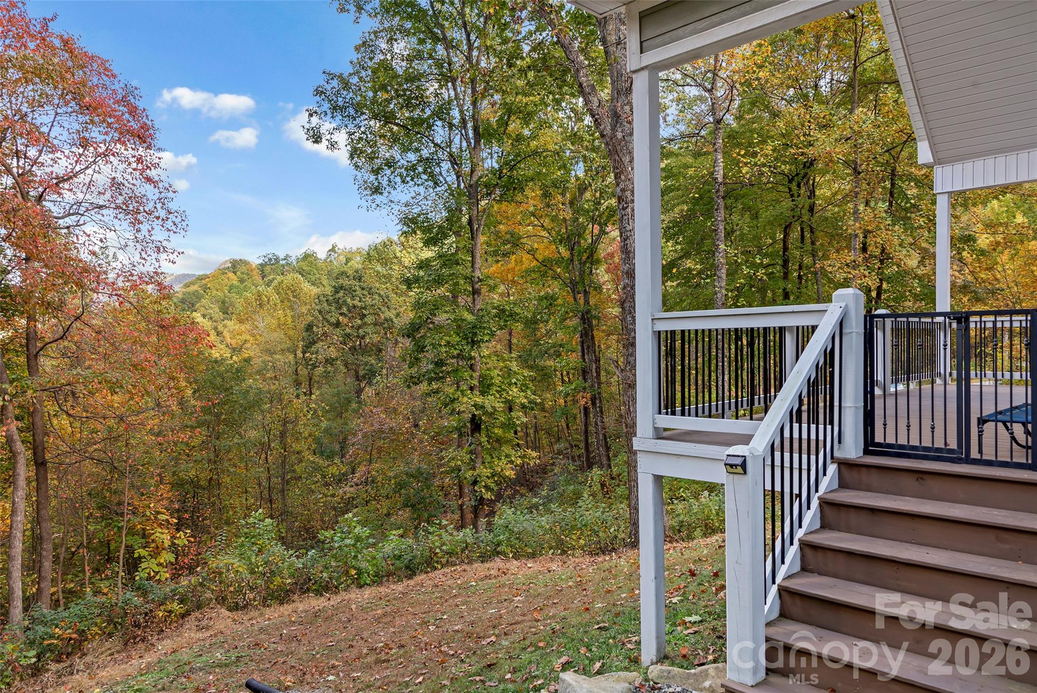 771 Sally Gap Road, Old Fort, NC - photo 33 of 49