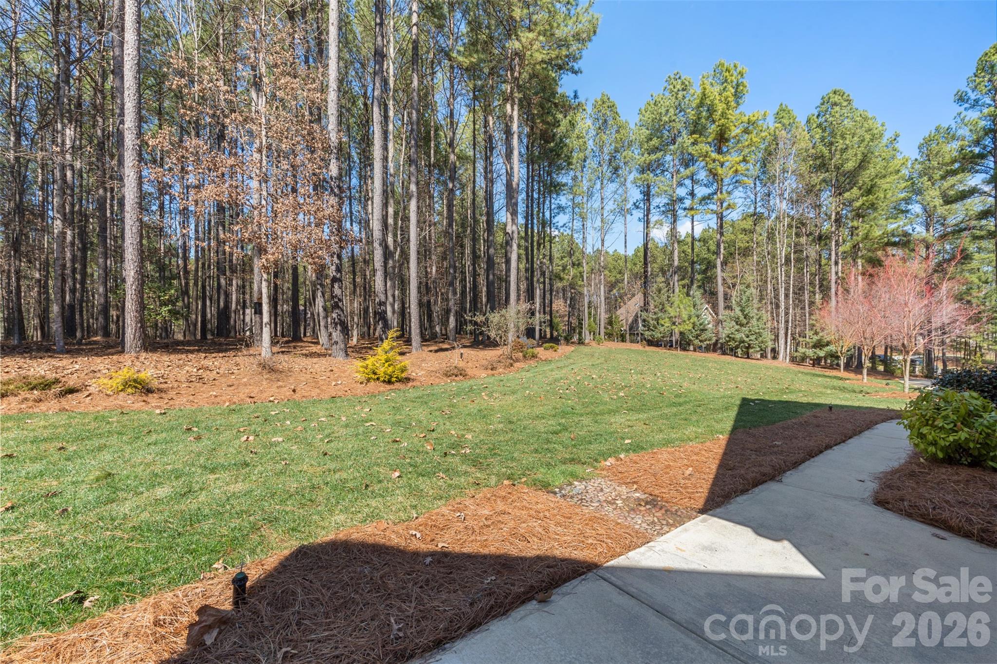 170 Silver Falls Drive, Troutman, NC - photo 30 of 33