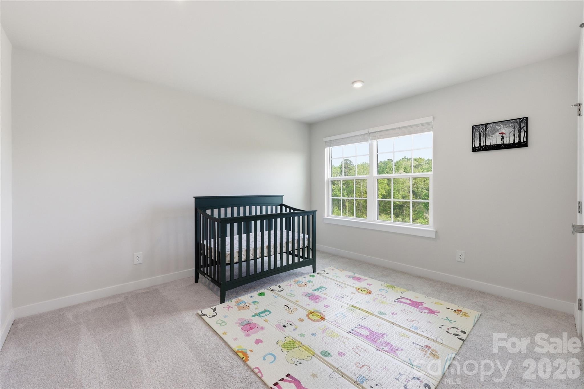 3057 Ballester Road, Fort Mill, SC - photo 27 of 49