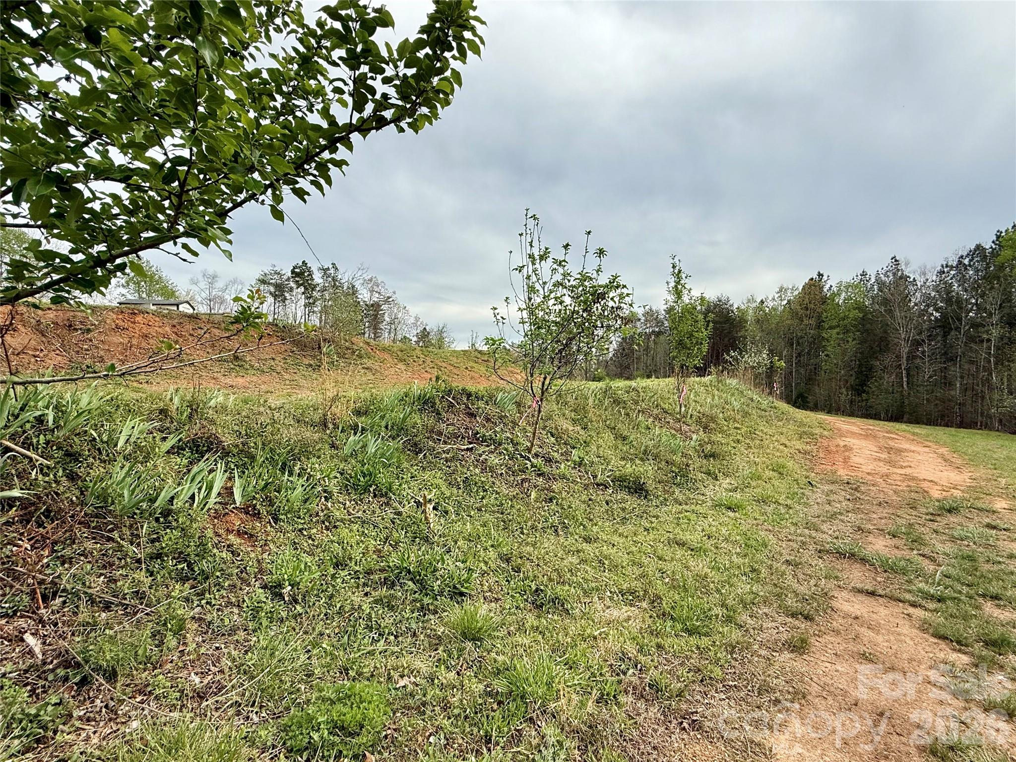 990 Romey Campbell Road, Ellenboro, NC - photo 47 of 49