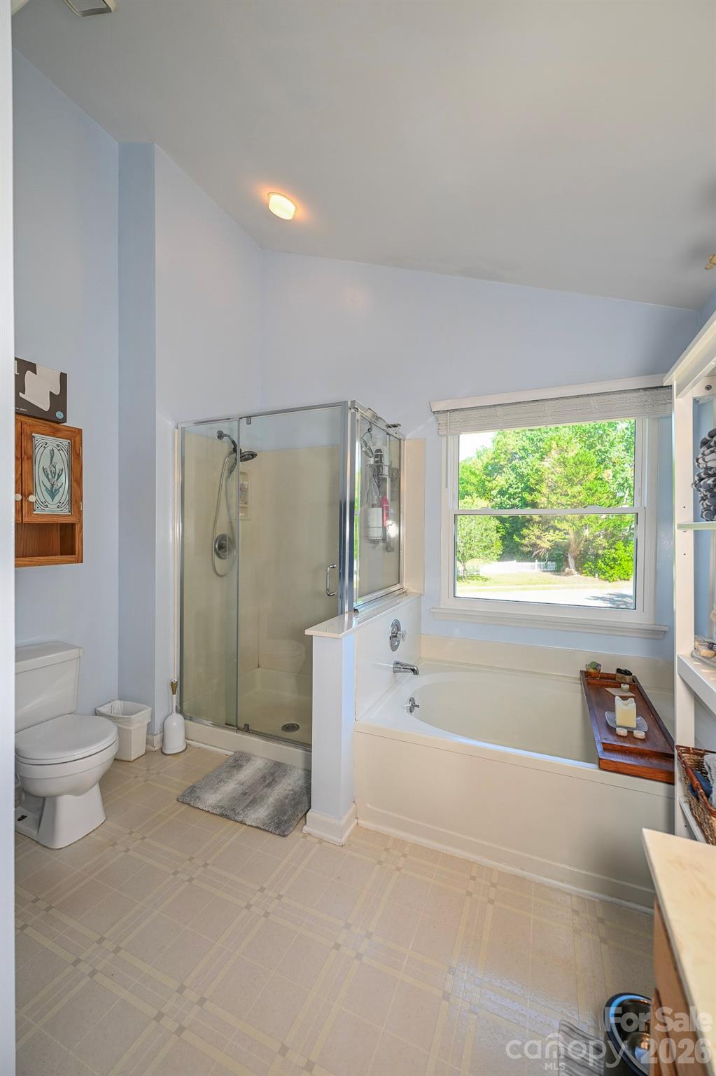 9101 Castlebay Drive, Charlotte, NC - photo 40 of 49