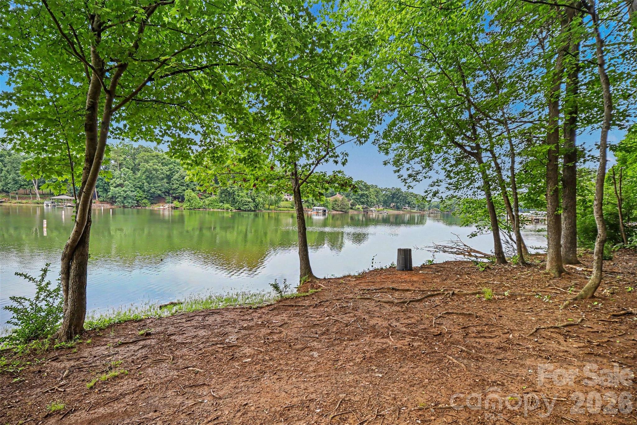 Photo 16 of 10718 Cove Point Drive, Charlotte, NC