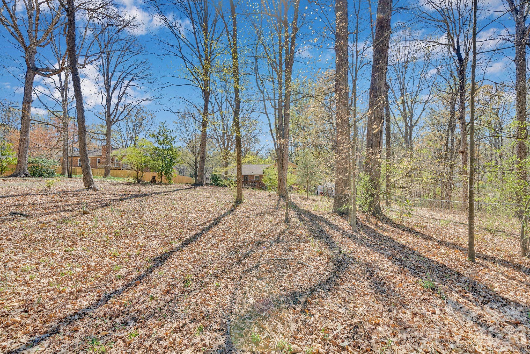 5317 Quail Ridge Drive, Mint Hill, NC - photo 41 of 43