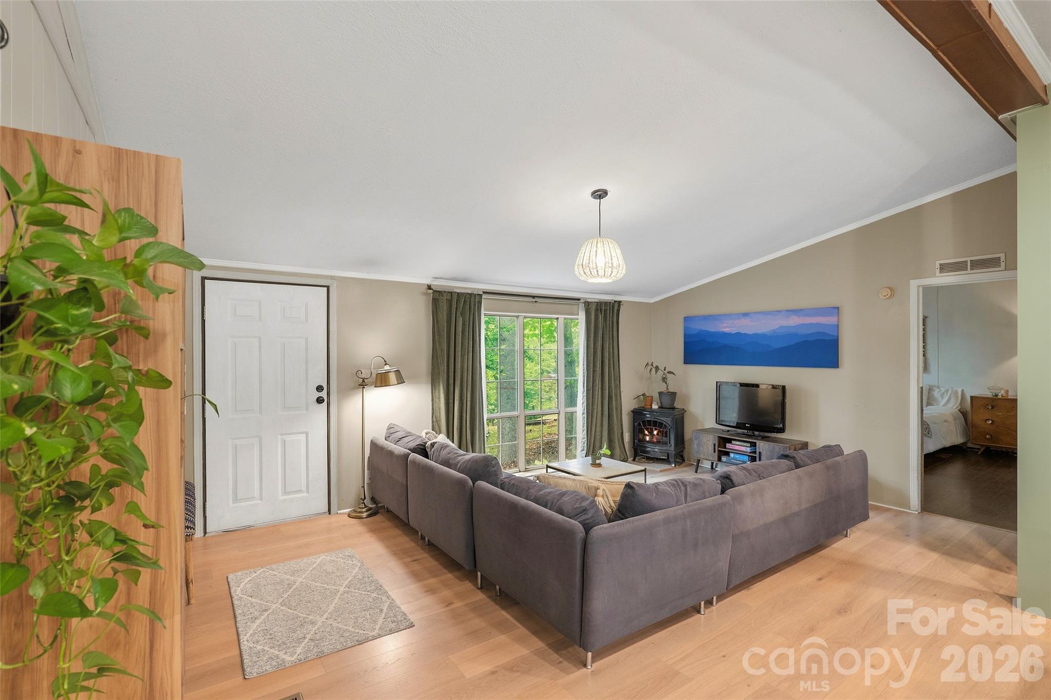 611 Turkey Creek Terrace, Leicester, NC - photo 16 of 43