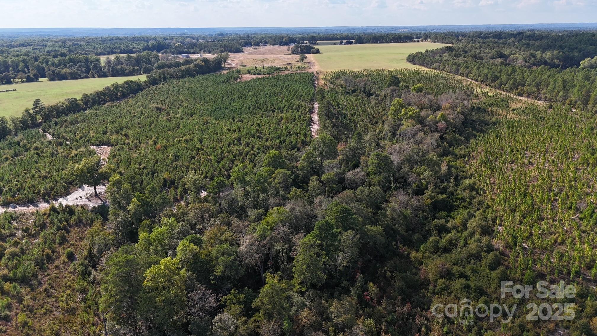 891 Long Branch Church Road, Jefferson, SC - photo 7 of 23