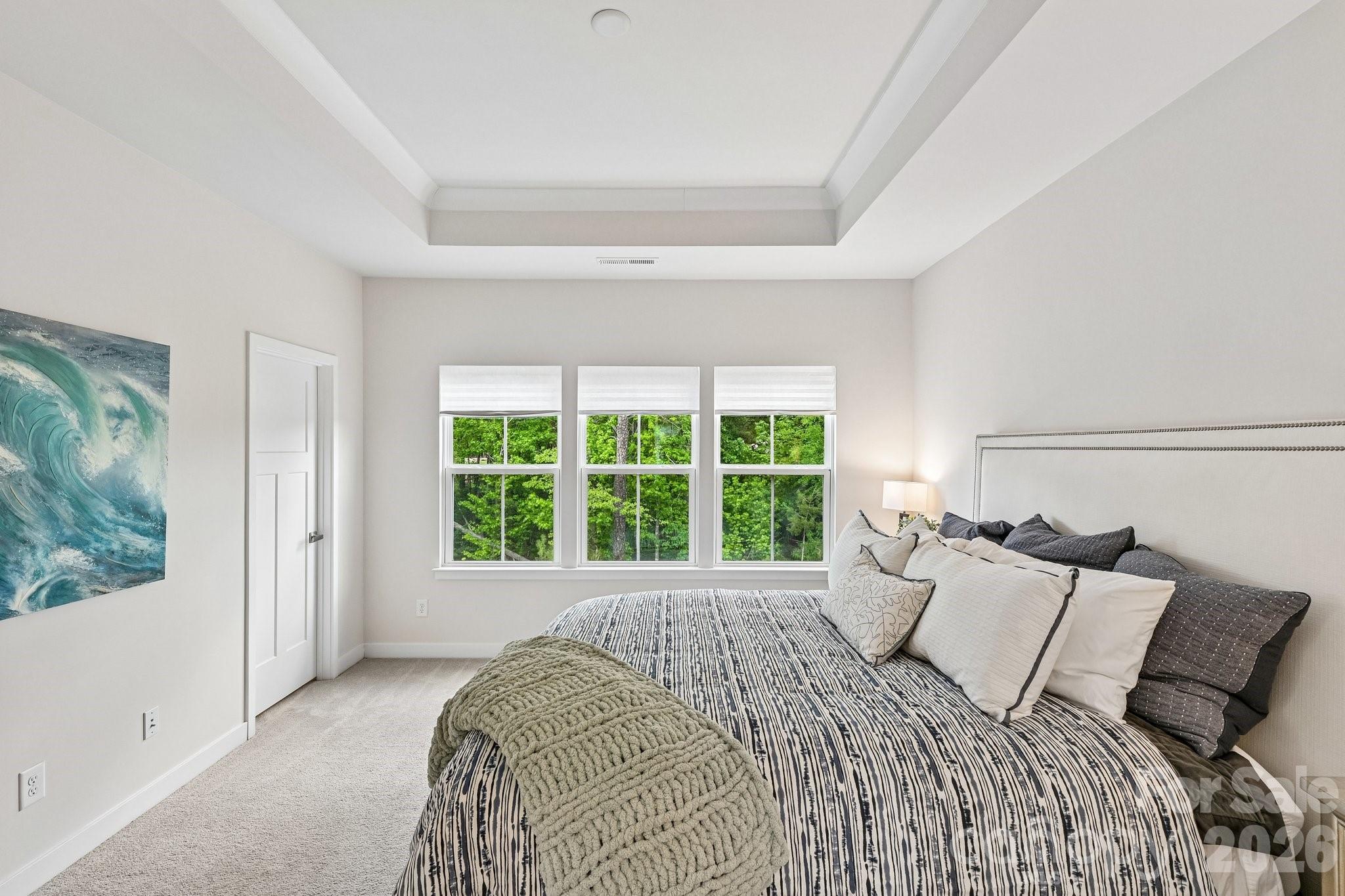 957 Portrush Lane, Tega Cay, SC - photo 26 of 40