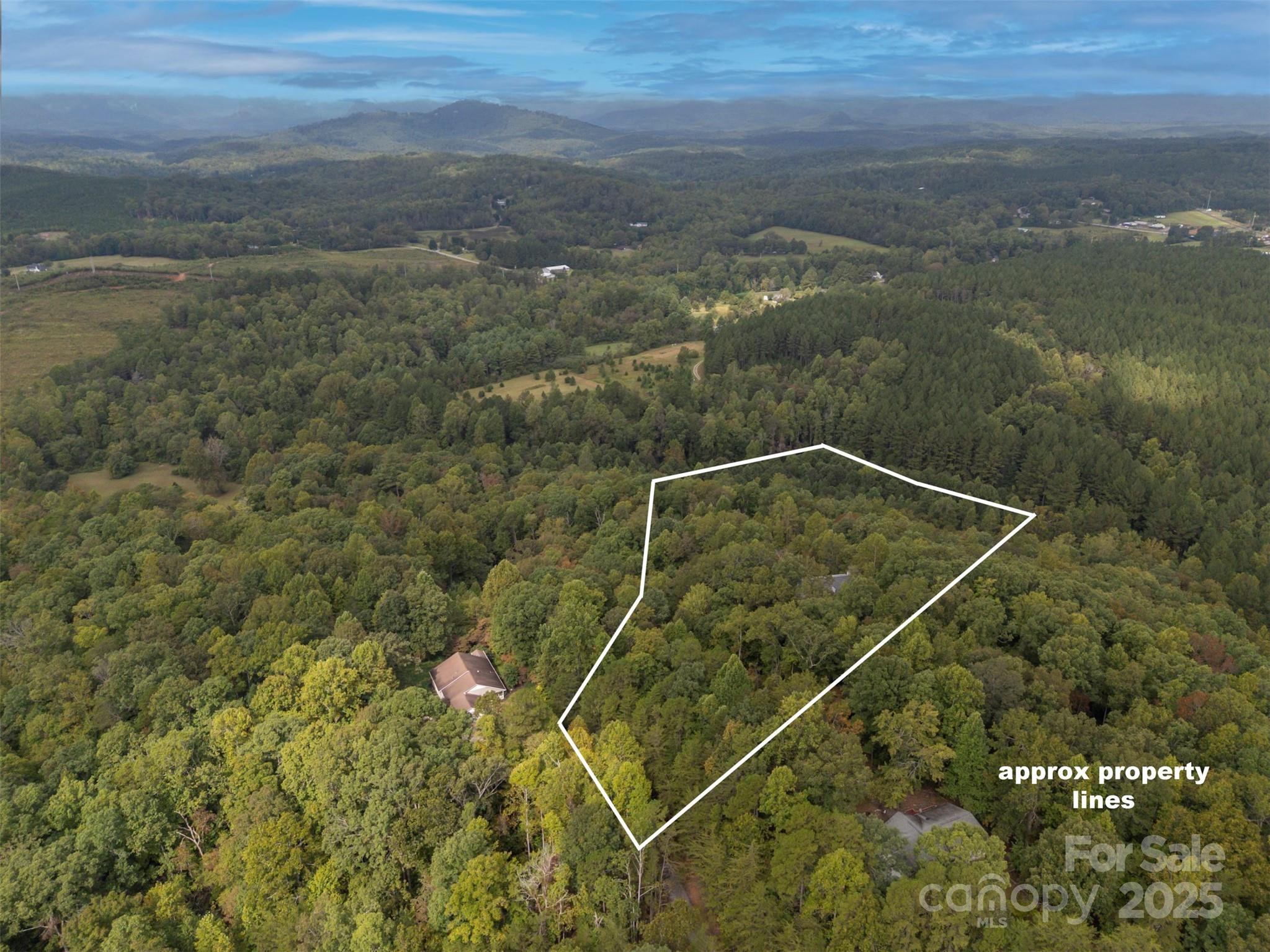 167 Balfour Drive, Rutherfordton, NC - photo 6 of 49