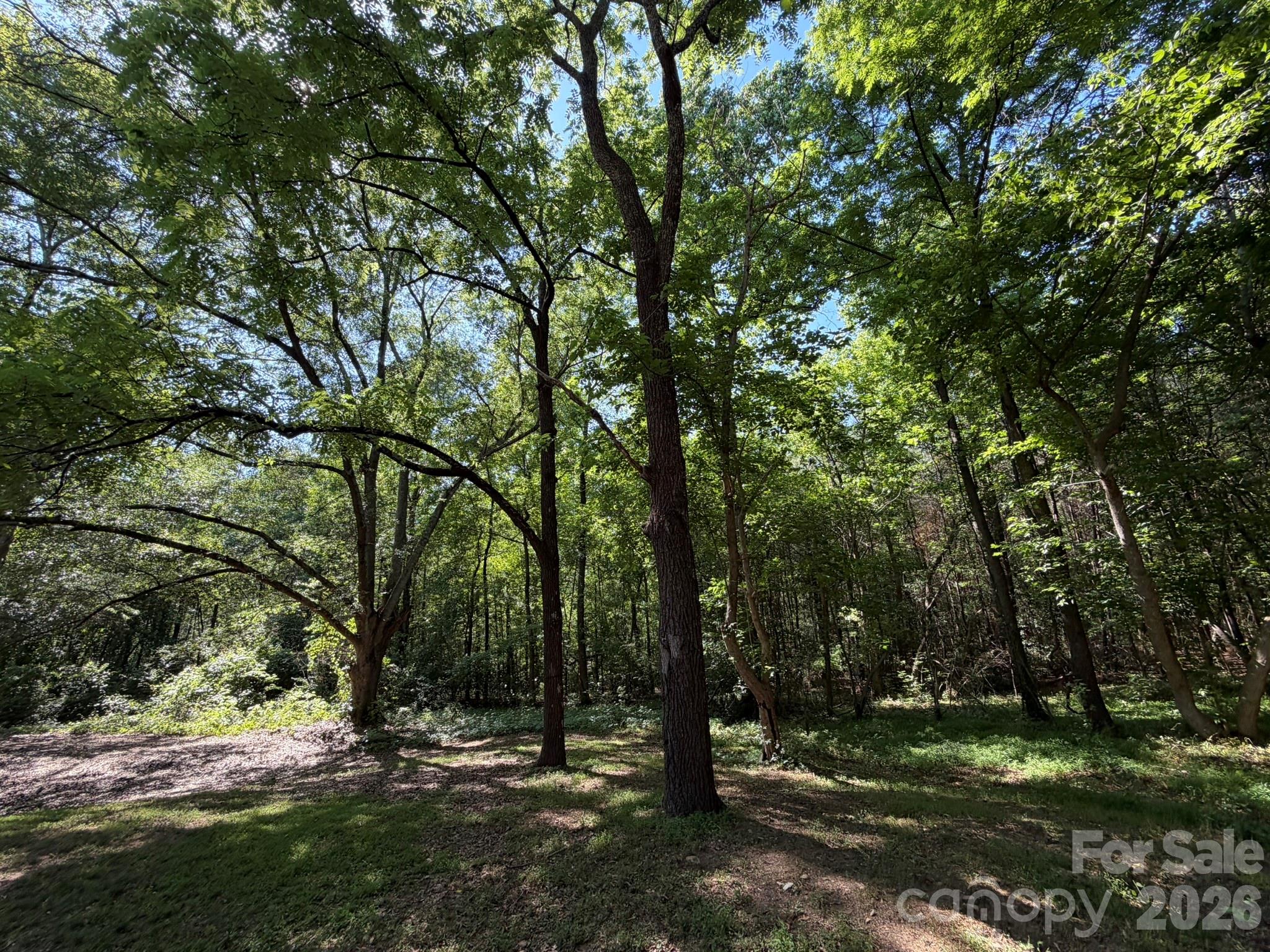382 Alexis High Shoals Road, Dallas, NC - photo 39 of 44