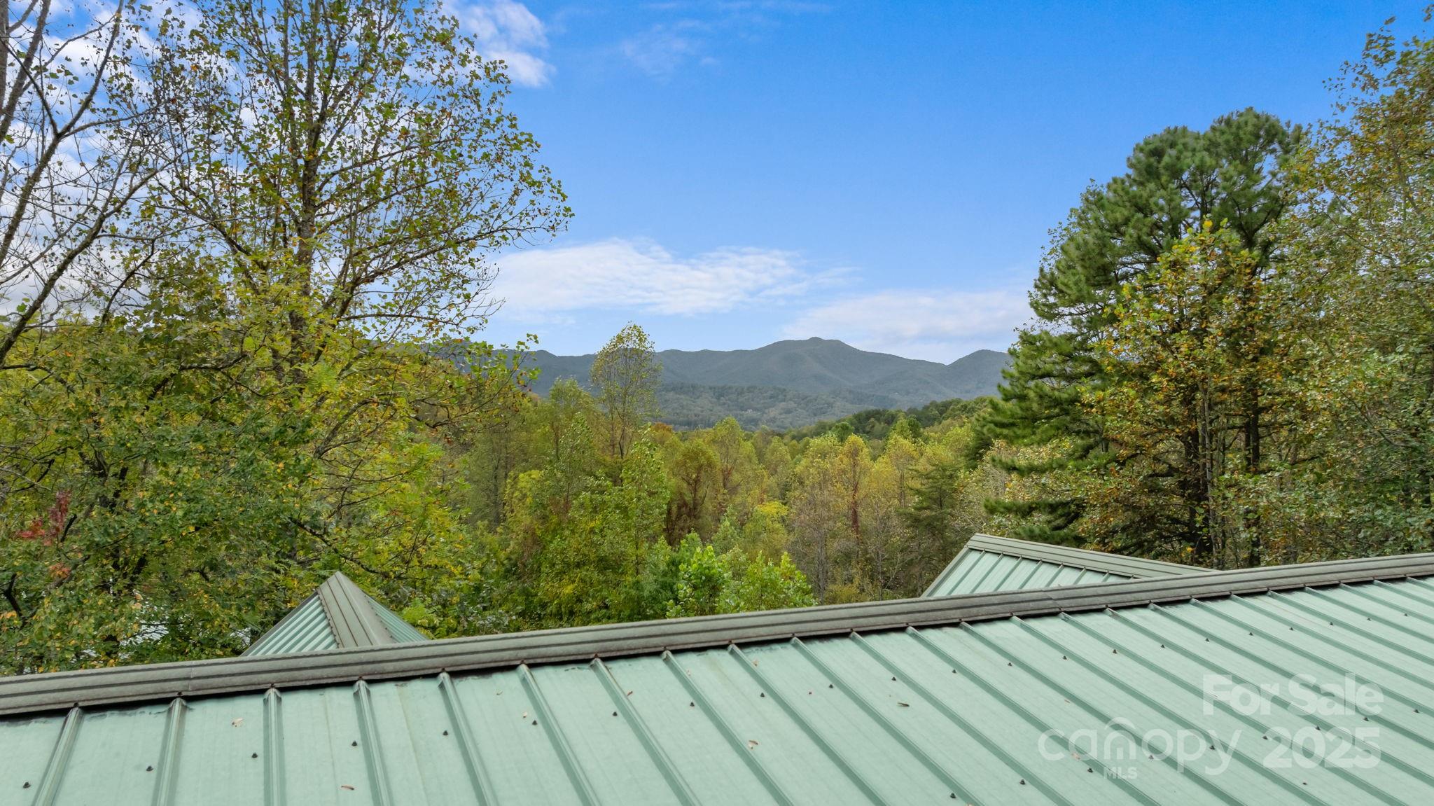 80 Slow Lane, Whittier, NC - photo 43 of 49