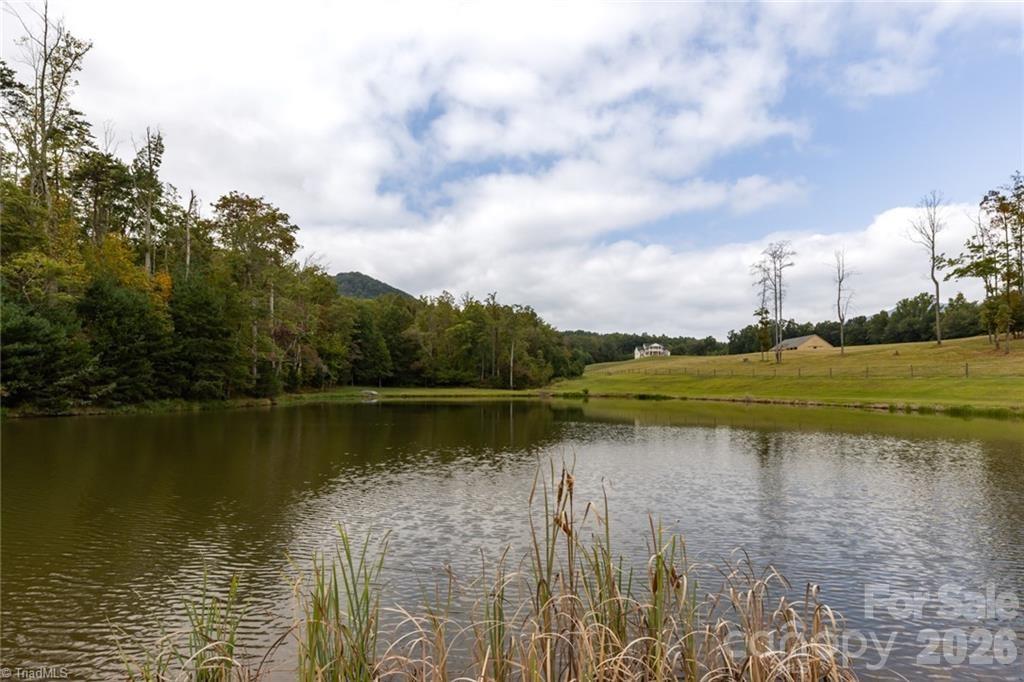 204 Violet Ridge, Lowgap, NC - photo 9 of 27