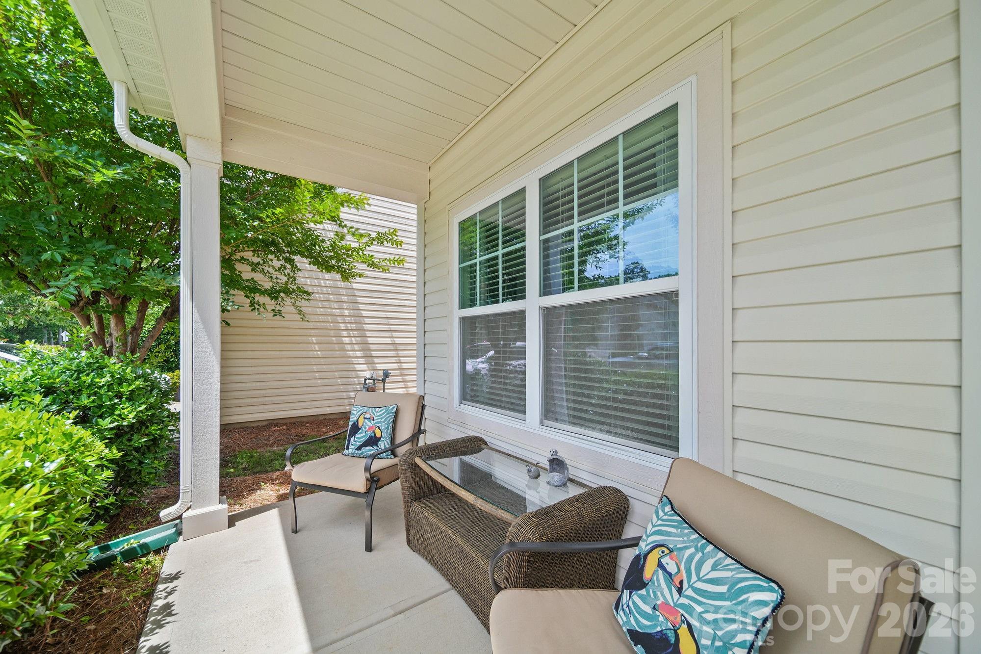 5057 Newport Lakes Drive, Rock Hill, SC - photo 3 of 26