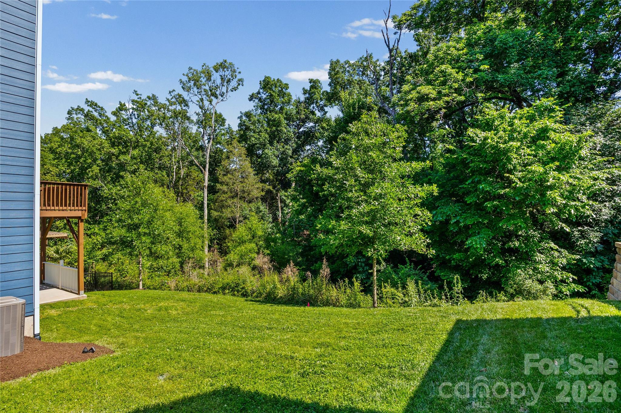 1008 Dorsey Drive, Fort Mill, SC - photo 36 of 49
